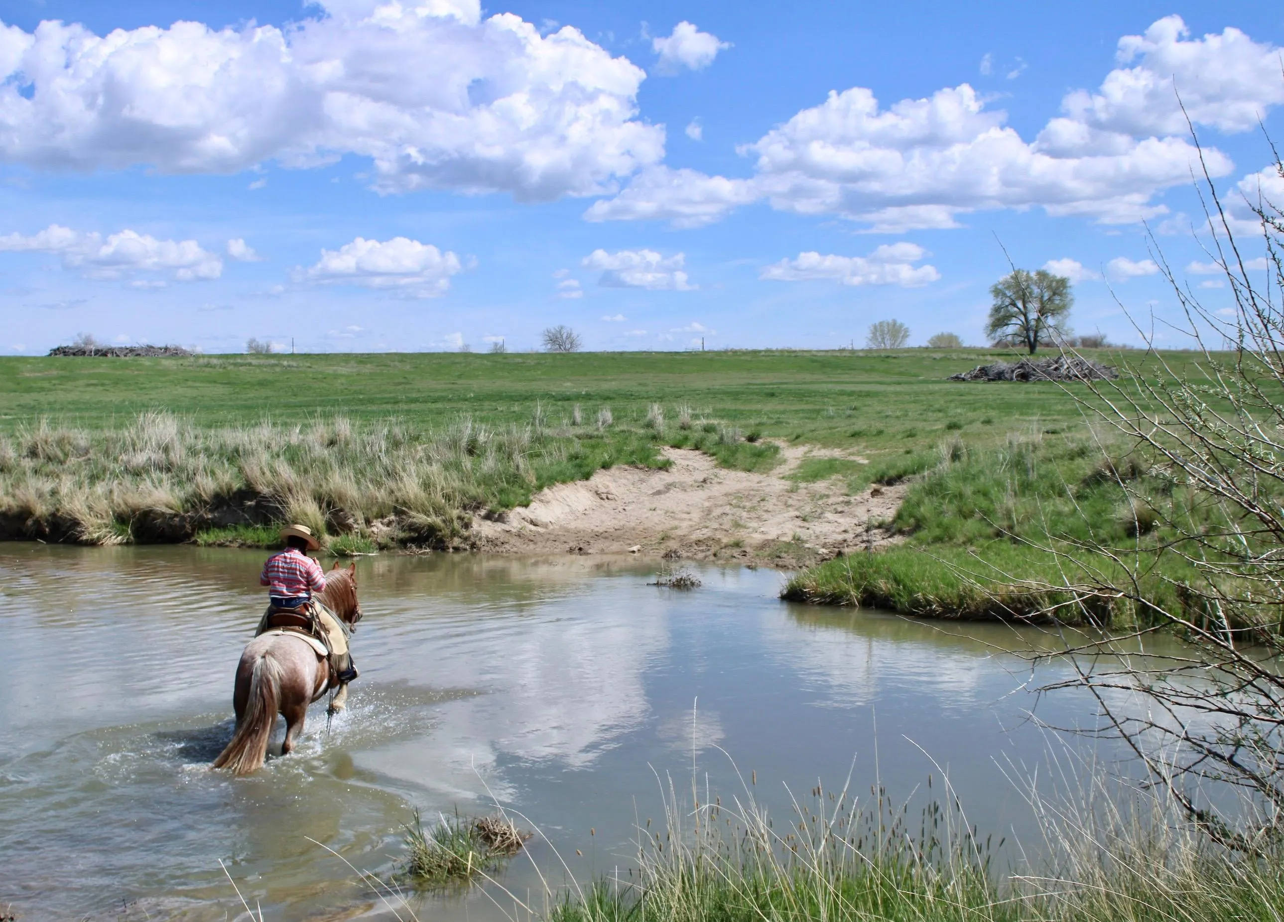 Wyoming Farms and Ranches for Sale over 1000 Acres - 45 Listings ...