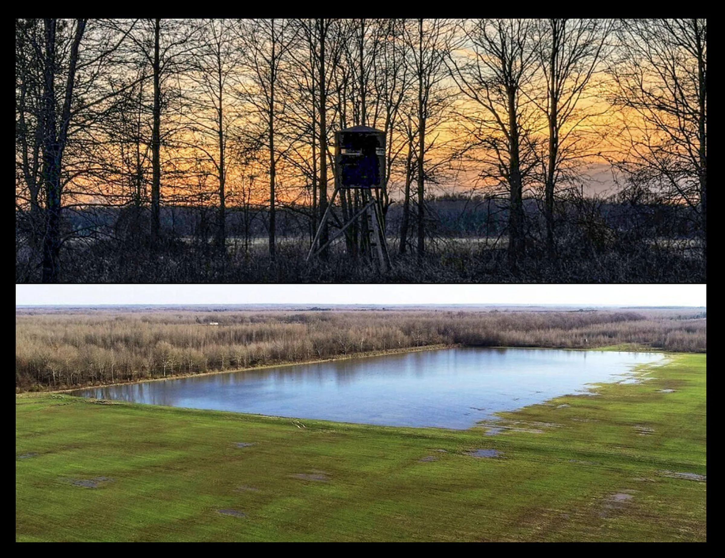 Timberland Properties for Sale - 4,750 Listings | LandWatch