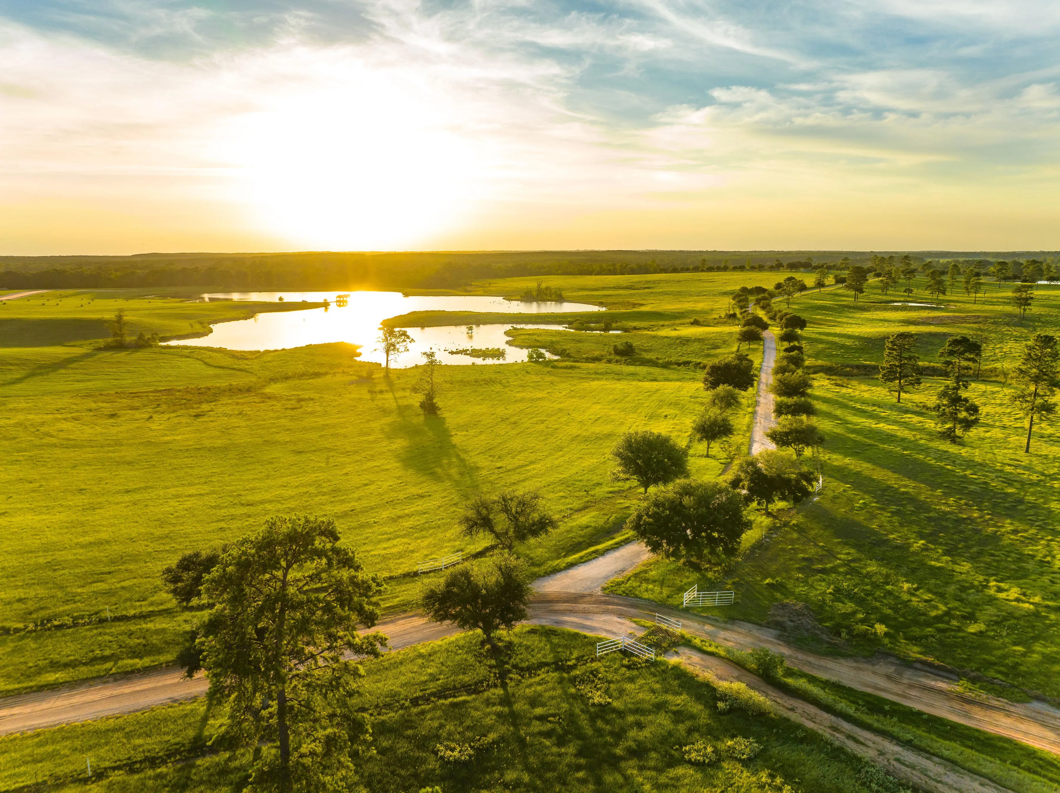 Tyler County, TX Land for Sale - 176 Listings | LandWatch