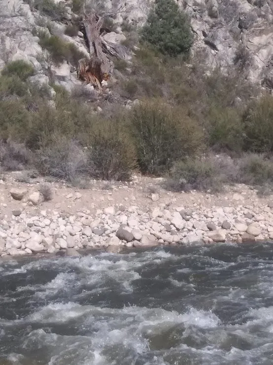 Gold Country Region, CA Land for Sale up to $50K - 1 Listings | LandWatch