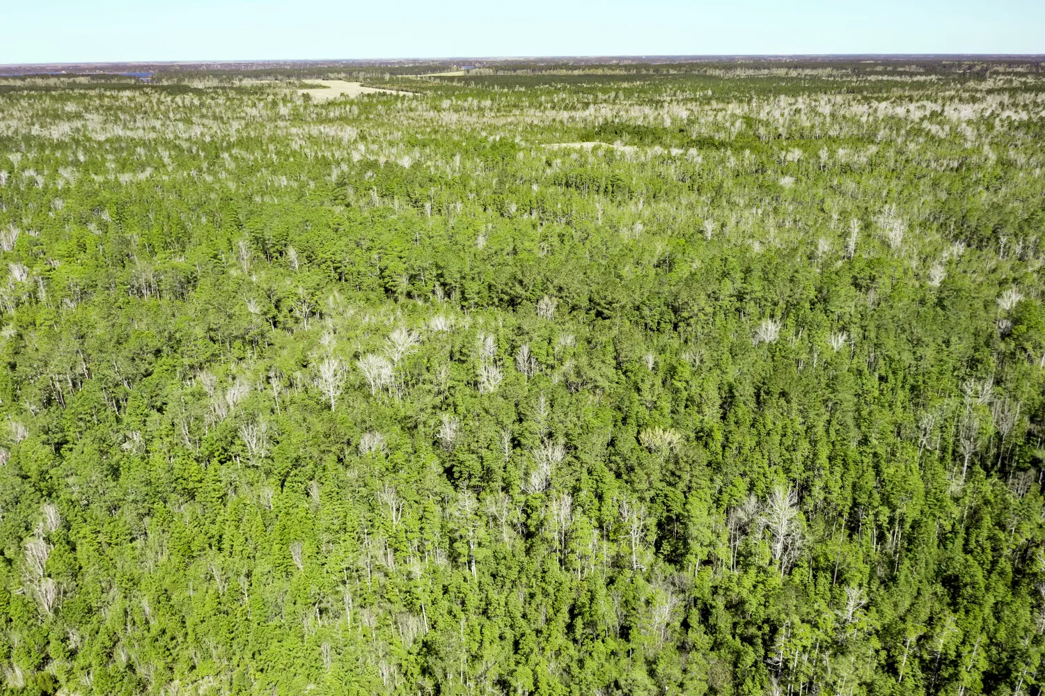 Camping Land for Sale over 1000 Acres - 198 Listings | LandWatch