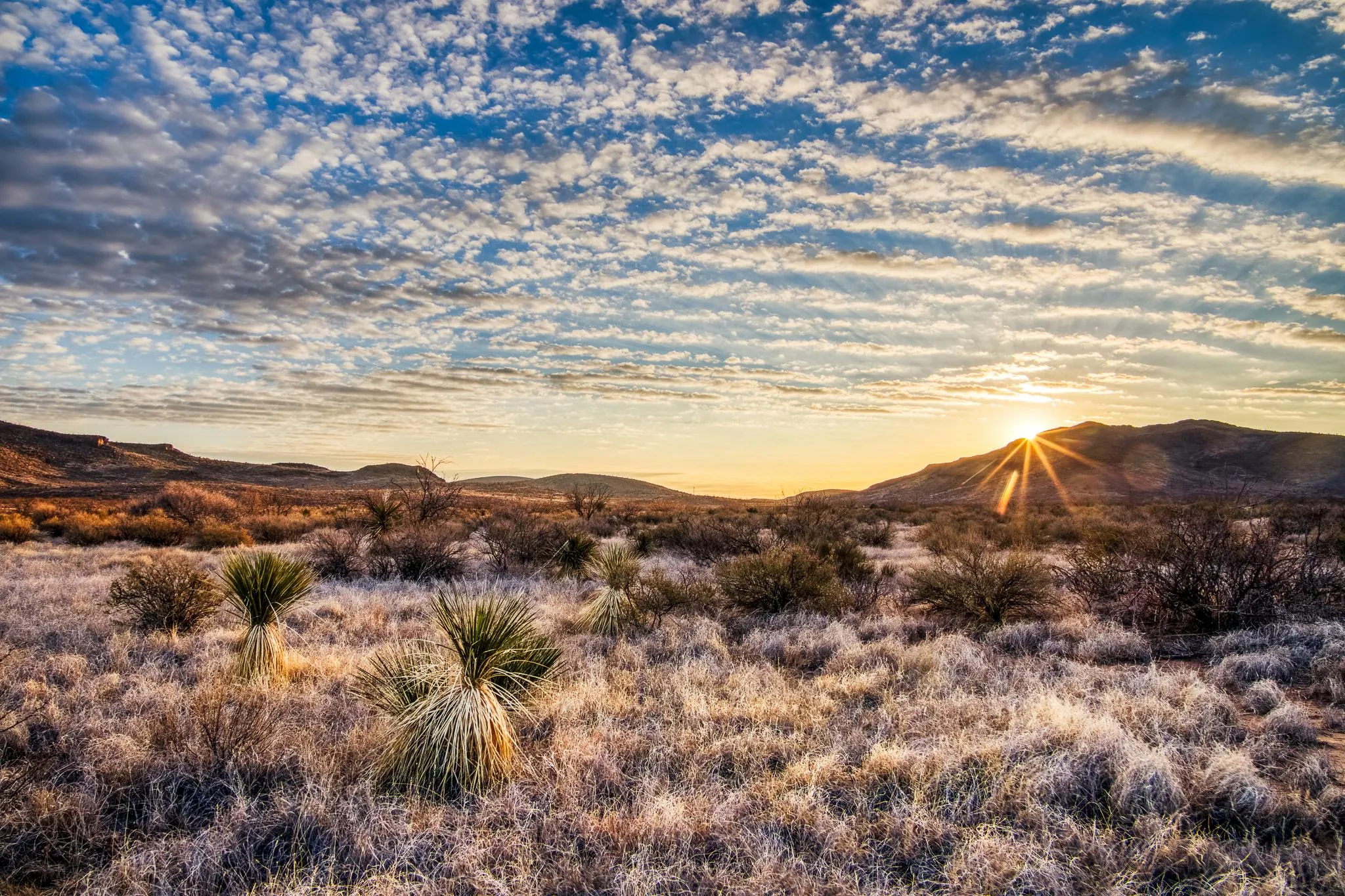 Trans Pecos Region, TX Farms and Ranches for Sale, Farms and Ranches ...