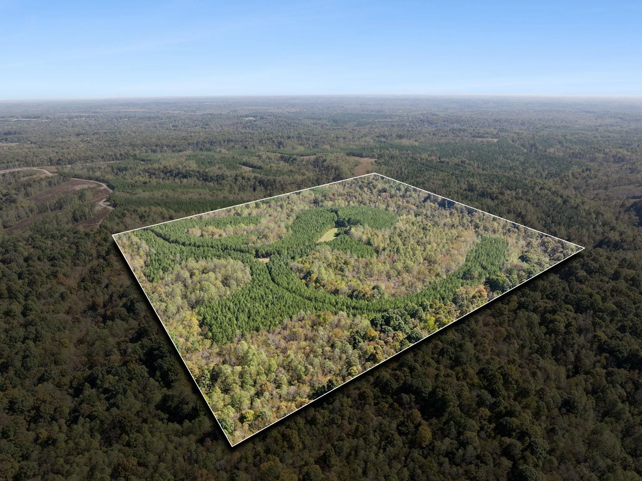 Dover, TN Hunting Land for Sale, Hunting Land for Sale in Dover, TN ...