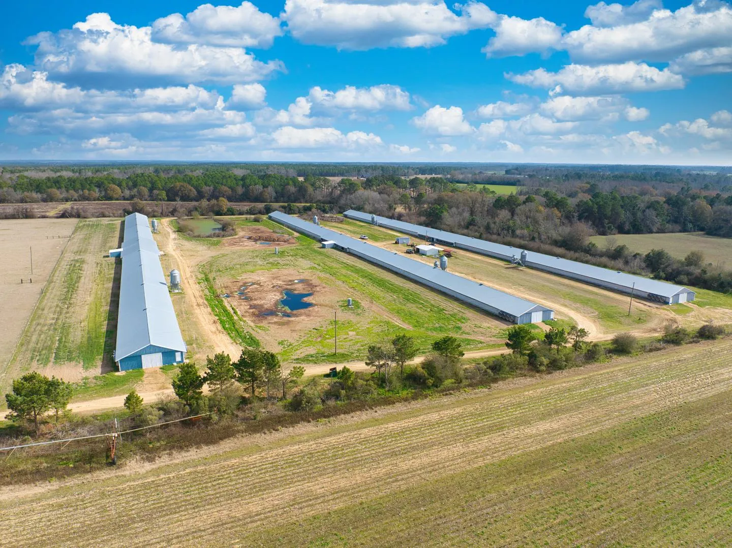 Colquitt County, GA Land for Sale, Land for Sale in Colquitt County, GA ...