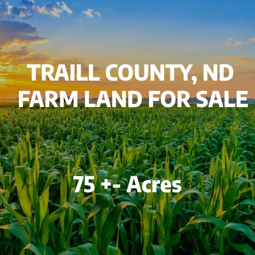 Traill County, ND Land for Sale, Land for Sale in Traill County, ND ...