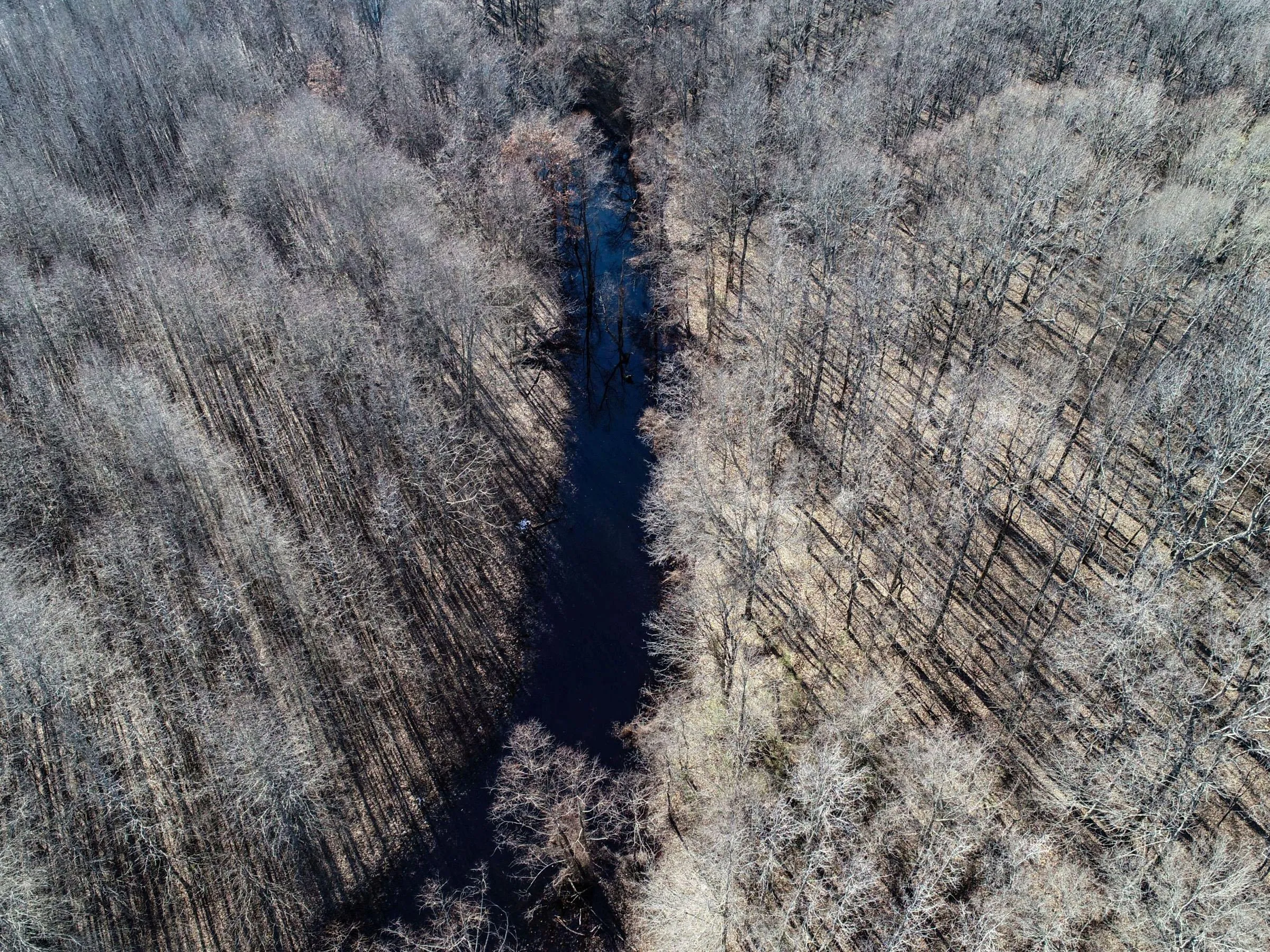 Timberland Properties for Sale - 5,516 Listings | LandWatch