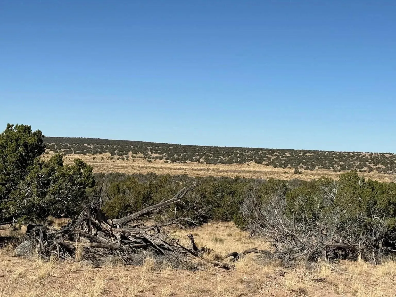 Apache County, AZ Land for Sale - 994 Listings | LandWatch