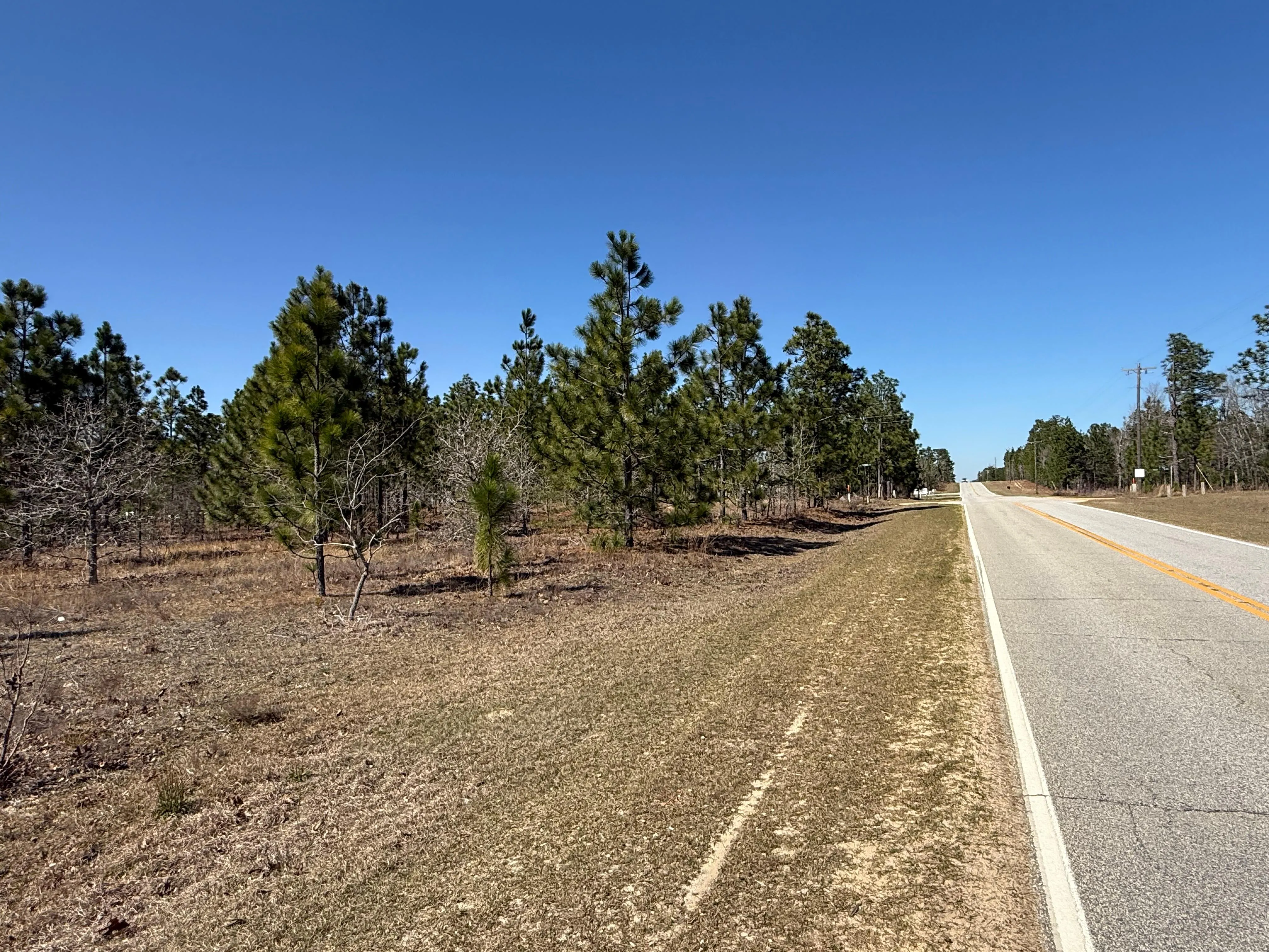 Chesterfield County, SC Land for Sale - 162 Listings | LandWatch