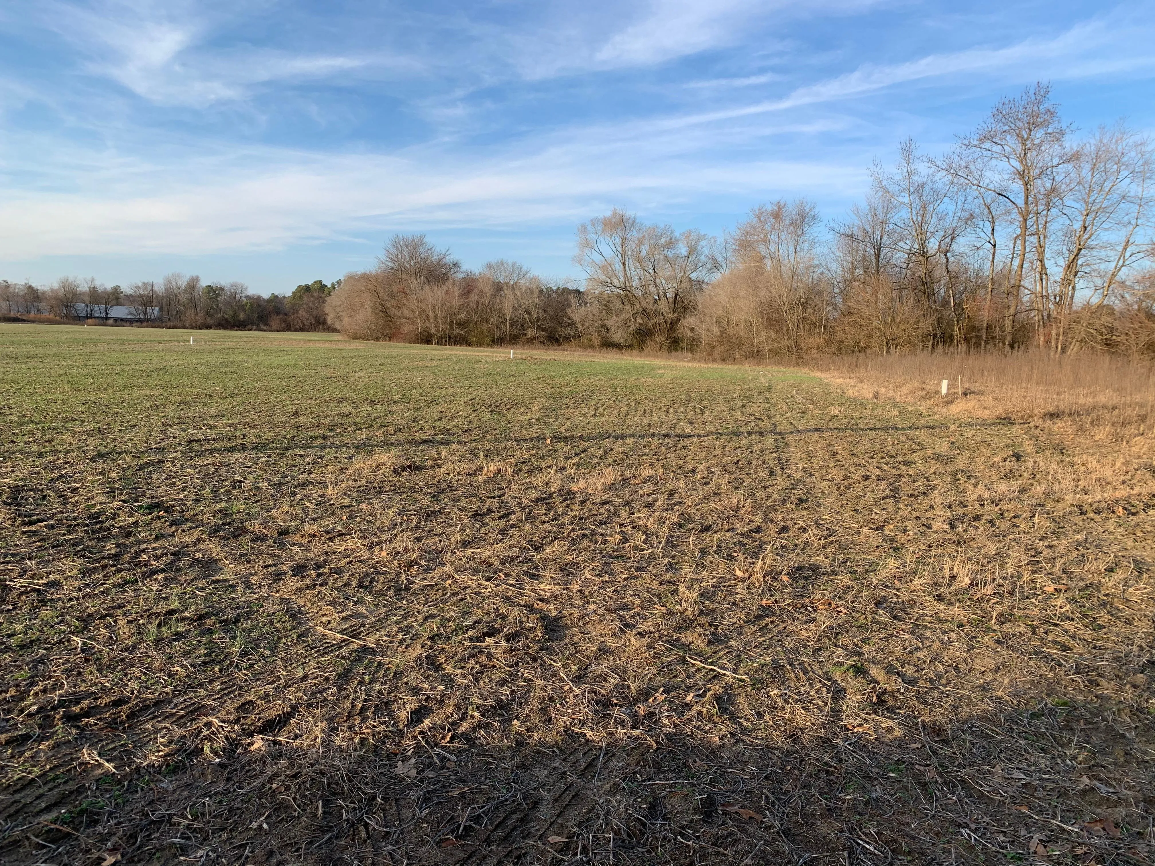 Maryland Hunting Land for Sale, Hunting Land for Sale in Maryland ...