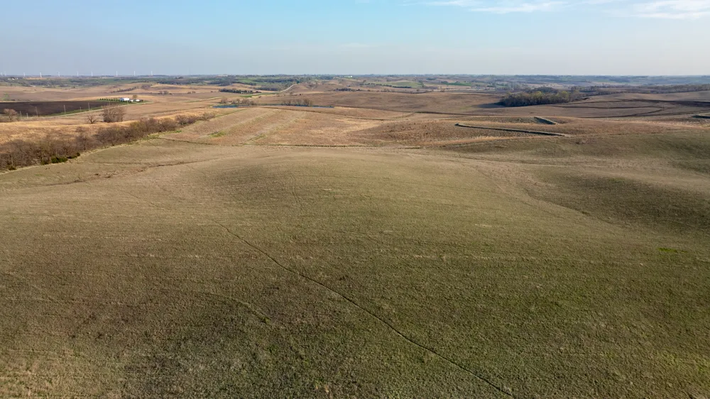 Iowa Farms and Ranches for Sale - 446 Listings | LandWatch