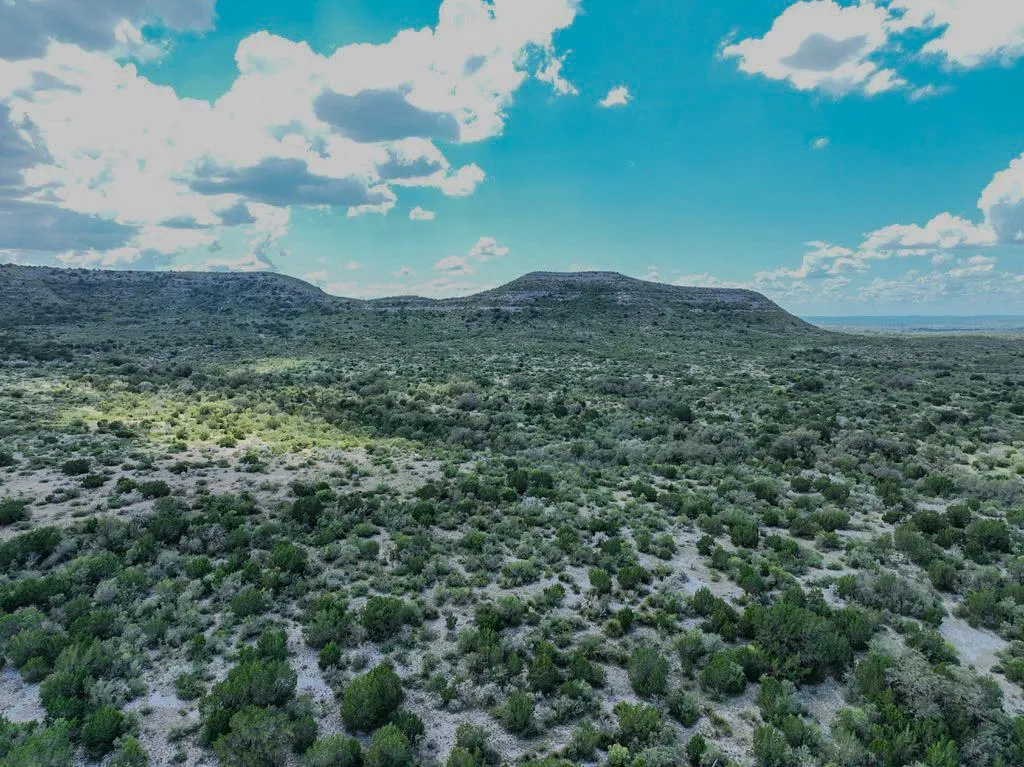 Farms and Ranches for Sale over 1000 Acres - 1,125 Listings | LandWatch