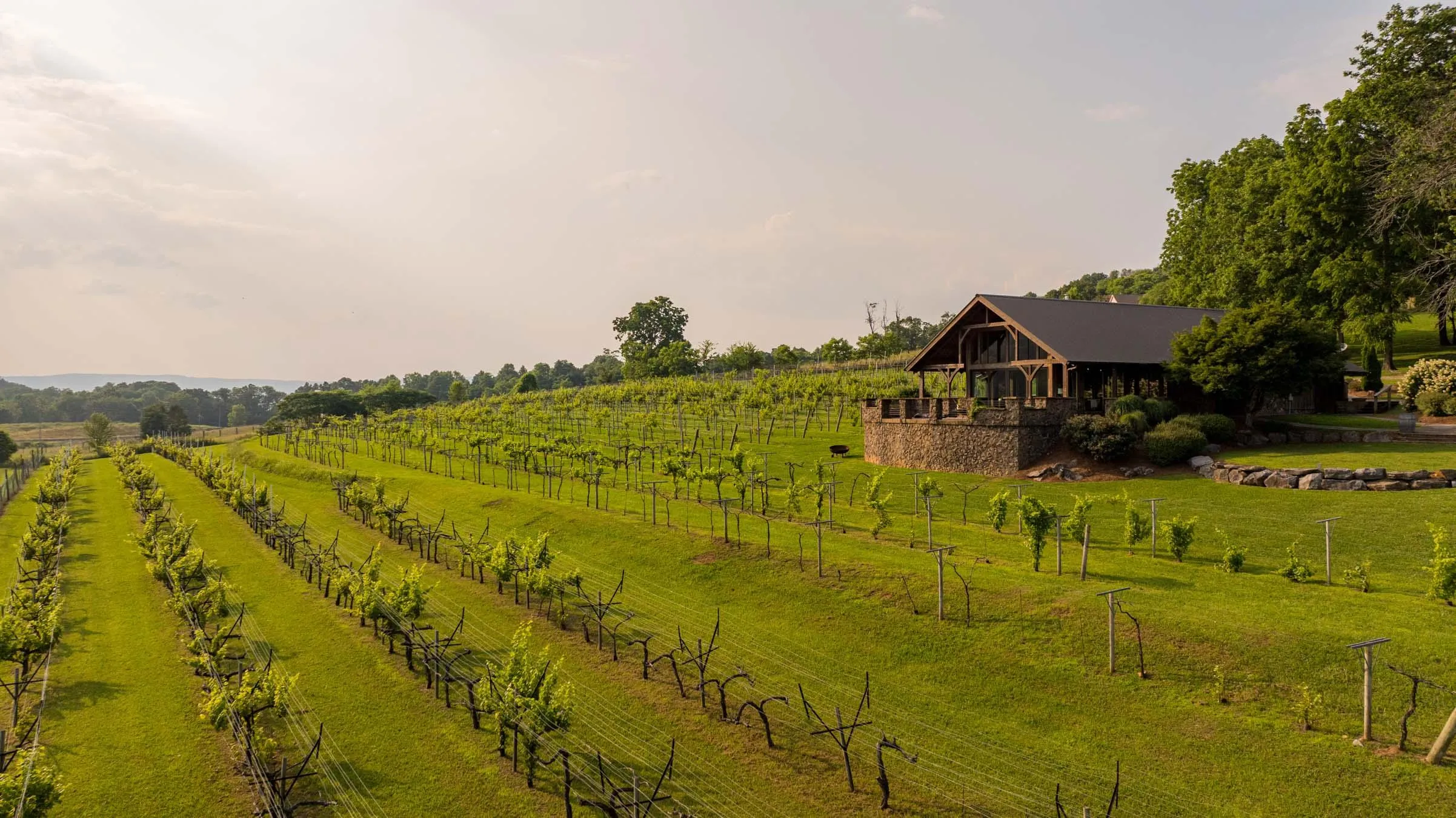 Mountains Region, GA Land for Sale between 11 and 50 Acres - 876 ...