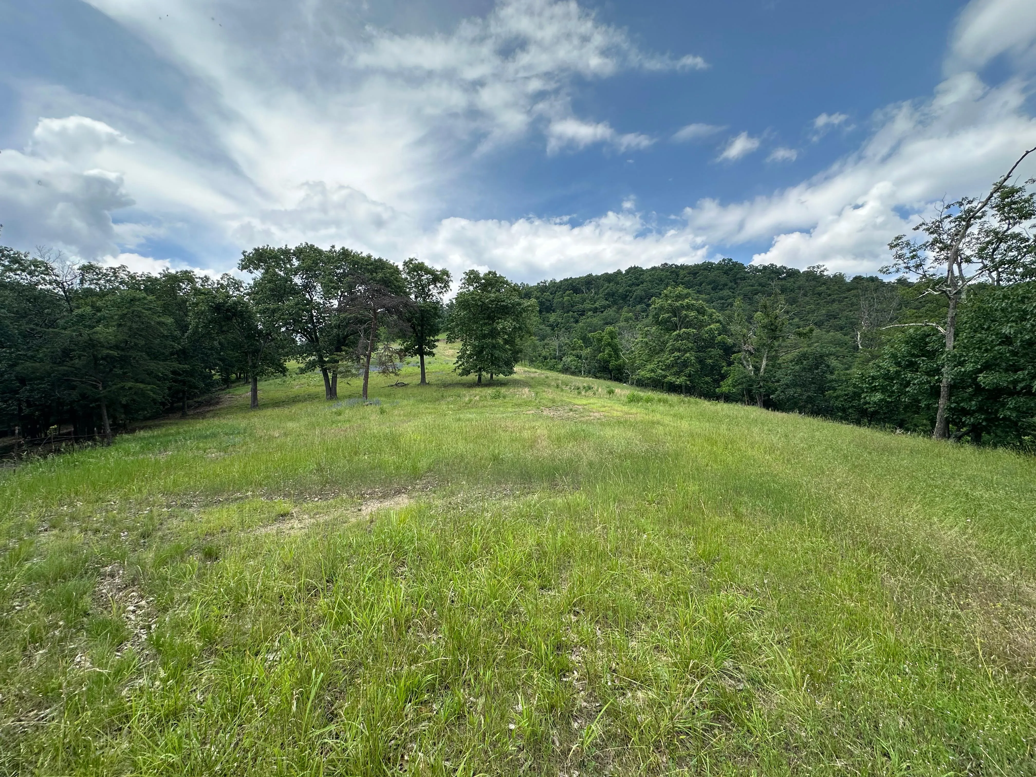 West Virginia Undeveloped Land for Sale - 1,440 Listings | LandWatch