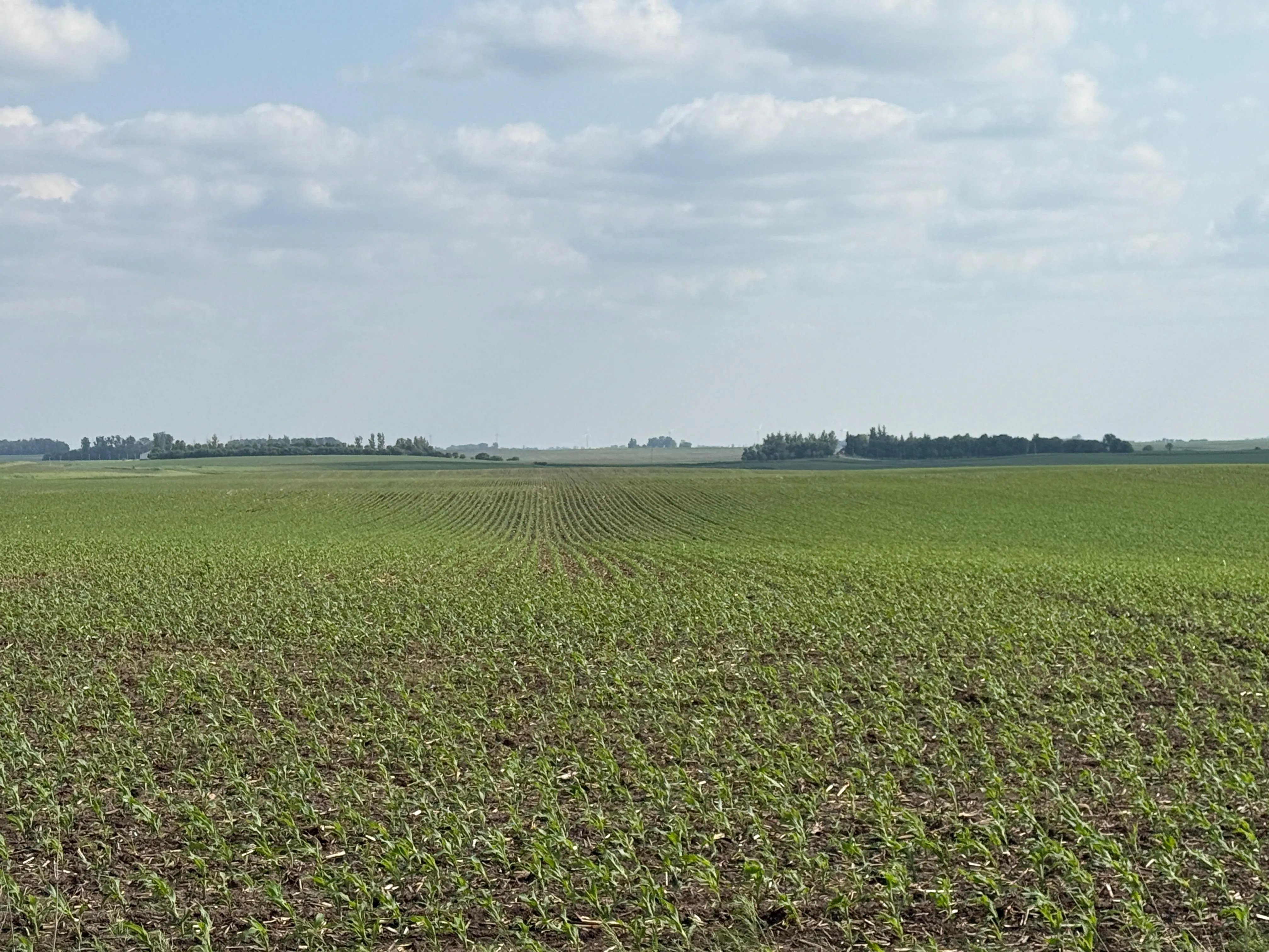 Minnesota Farms and Ranches for Sale - 122 Listings | LandWatch