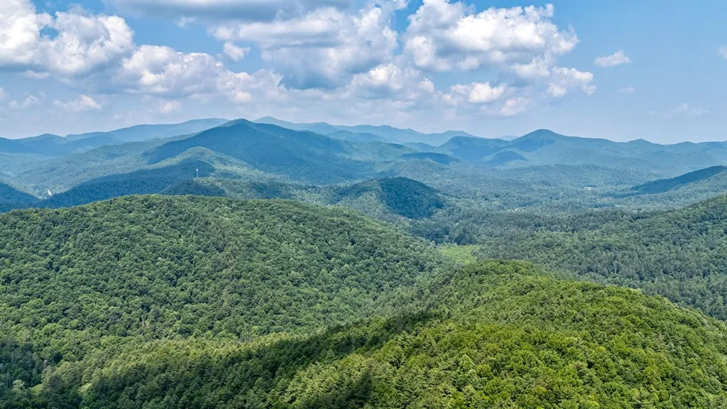Blue Ridge Mountains Region, GA Riverfront Properties for Sale ...