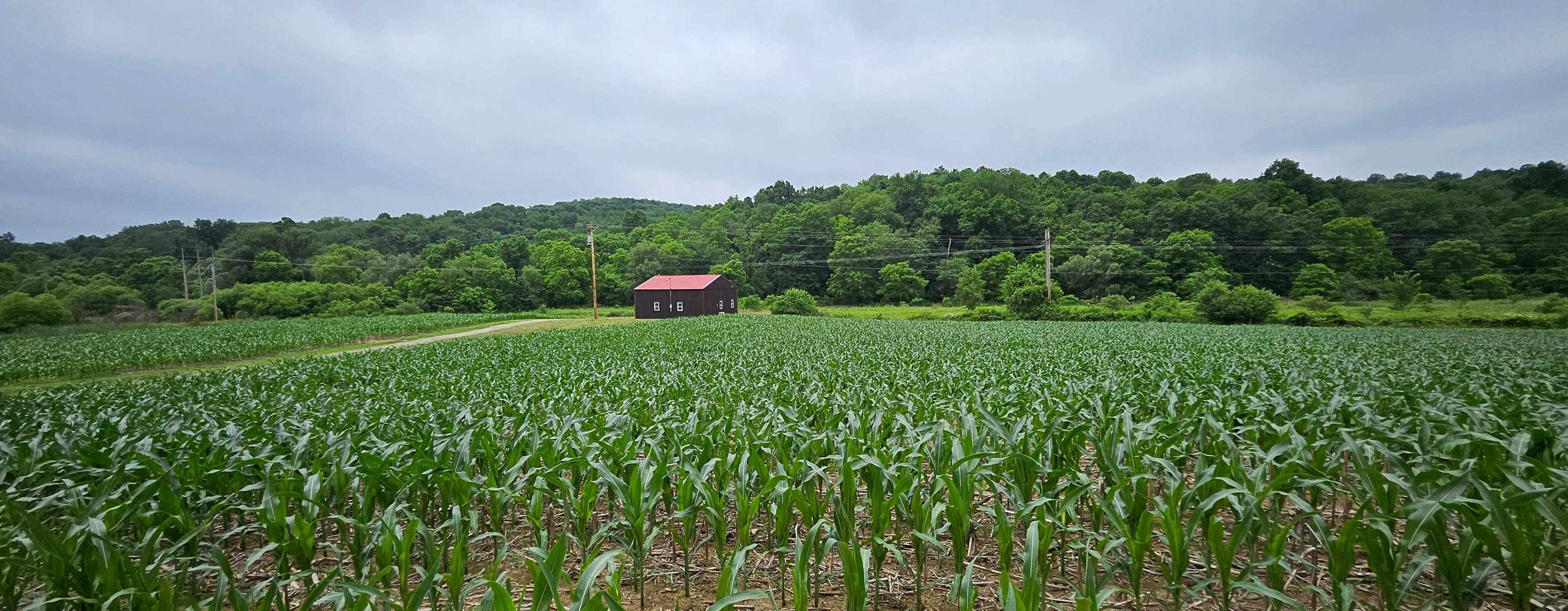 Ohio Land for Sale - 16 Listings | LandWatch