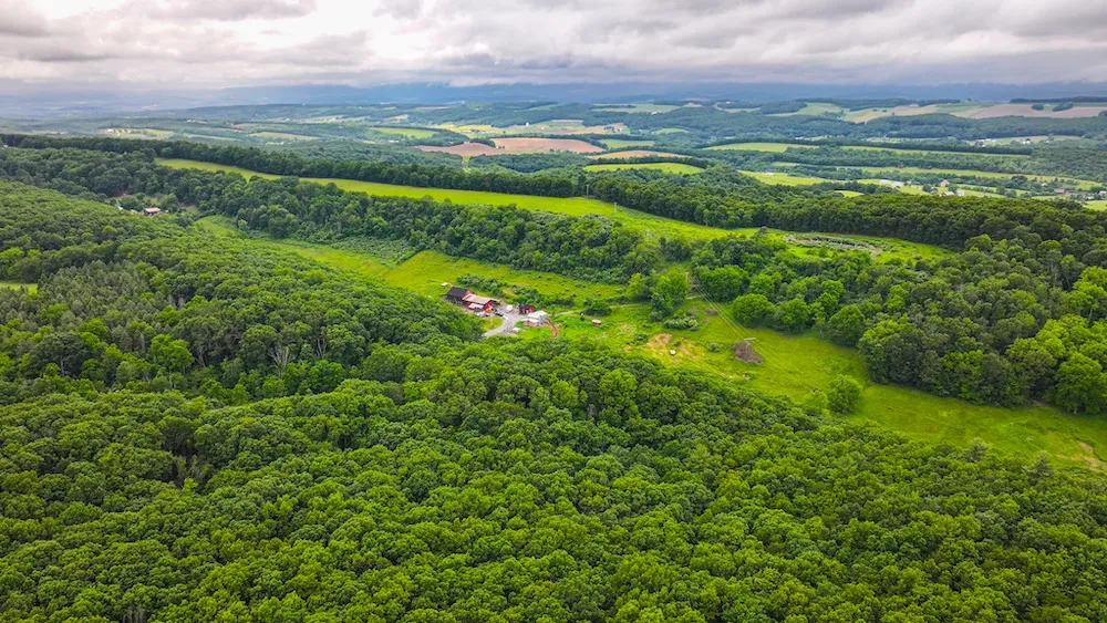 Pennsylvania Hunting Land for Sale, Hunting Land for Sale in ...