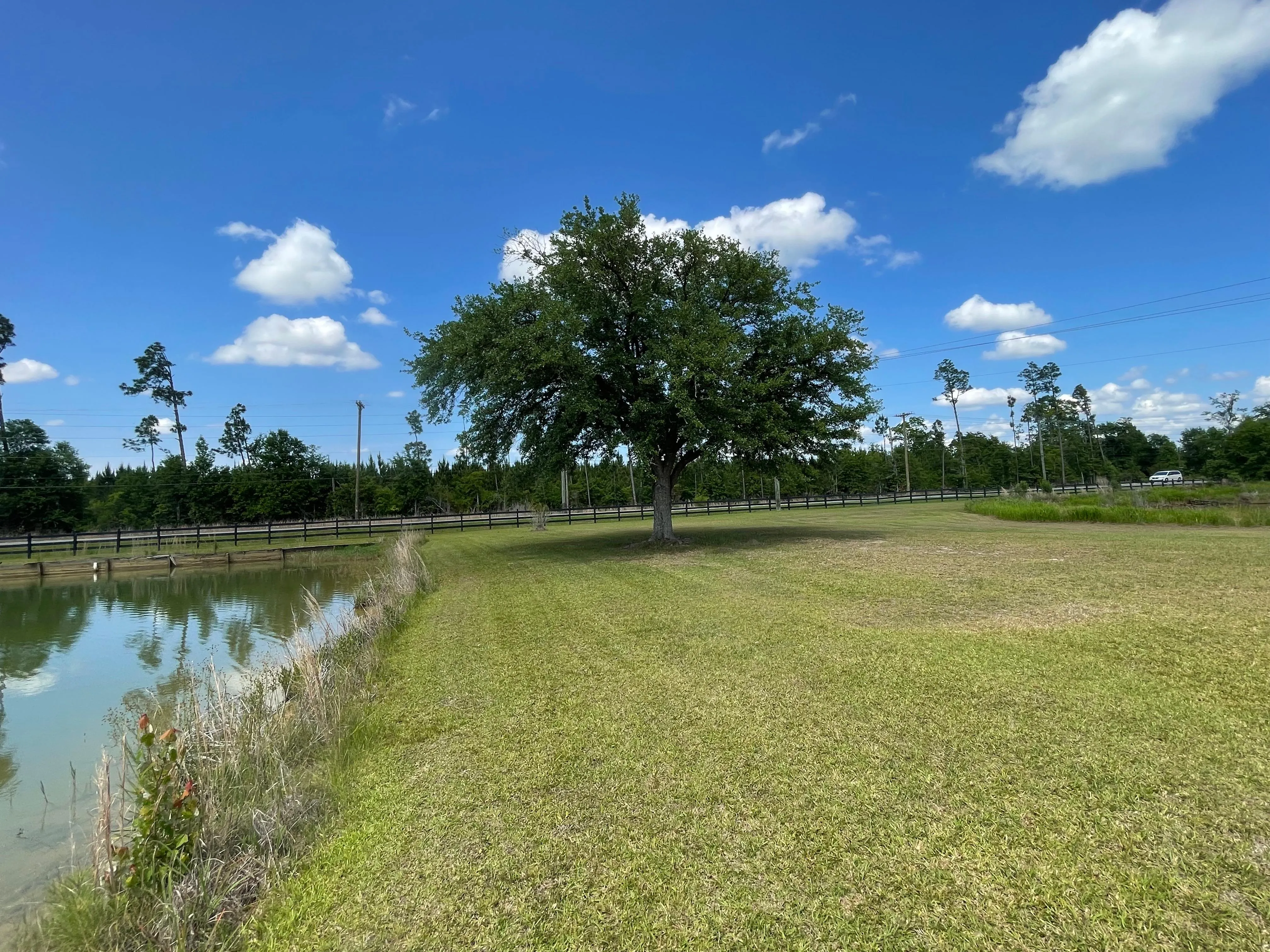 Florida Hunting Land for Sale, Hunting Land for Sale in Florida ...