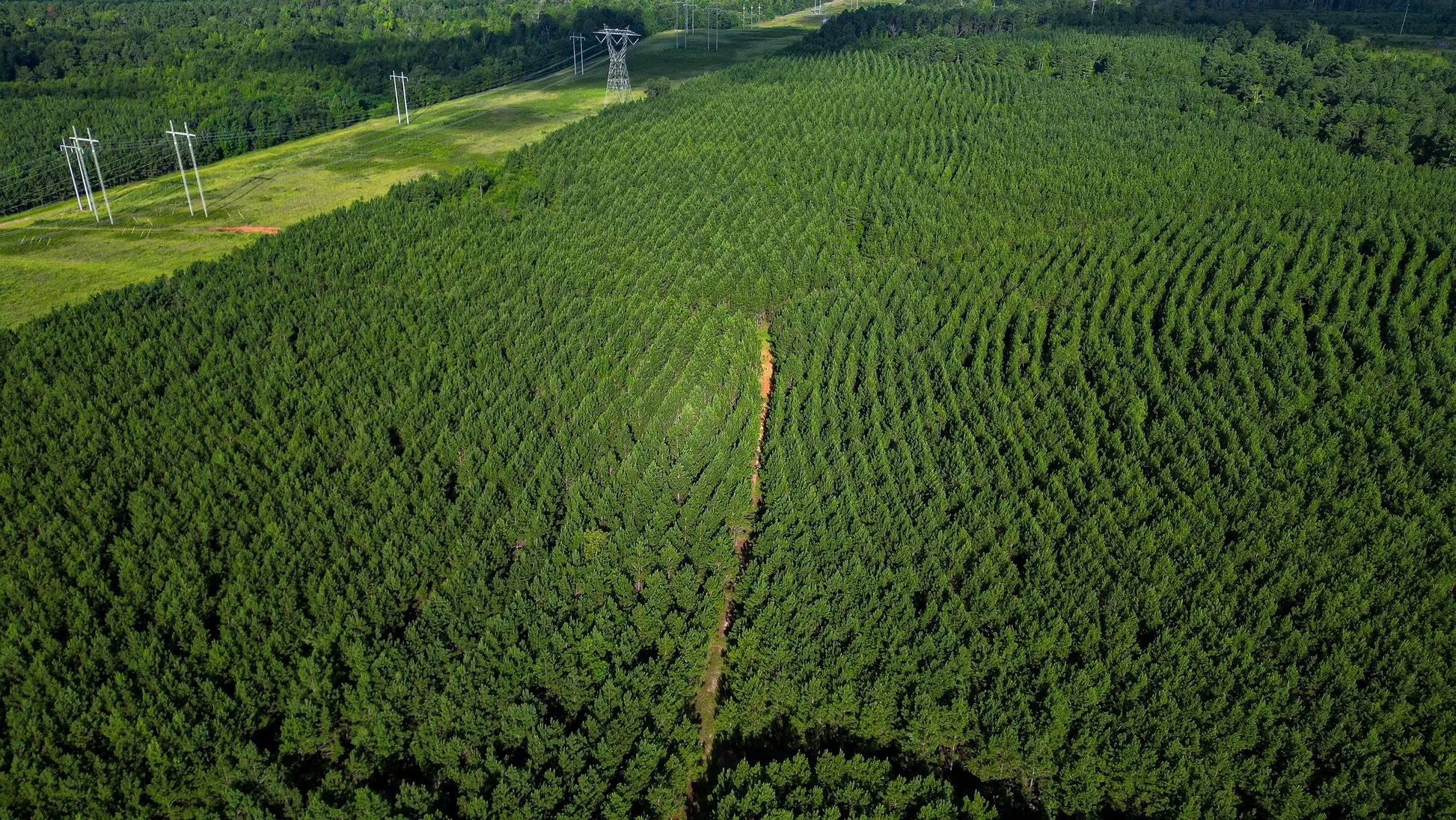 Jefferson County, GA Land for Sale, Land for Sale in Jefferson County ...