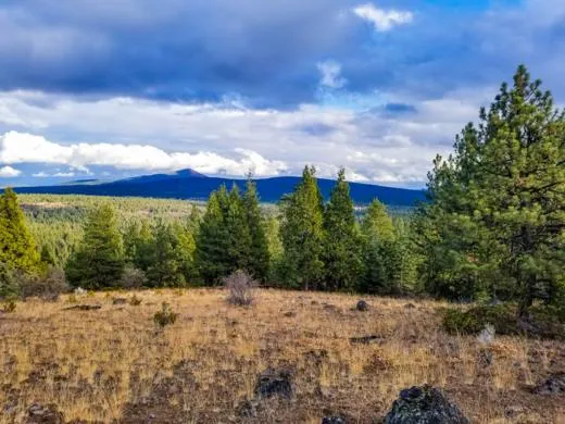 Oregon Land for Sale, Land for Sale in Oregon, Land for Sale Near Me in ...