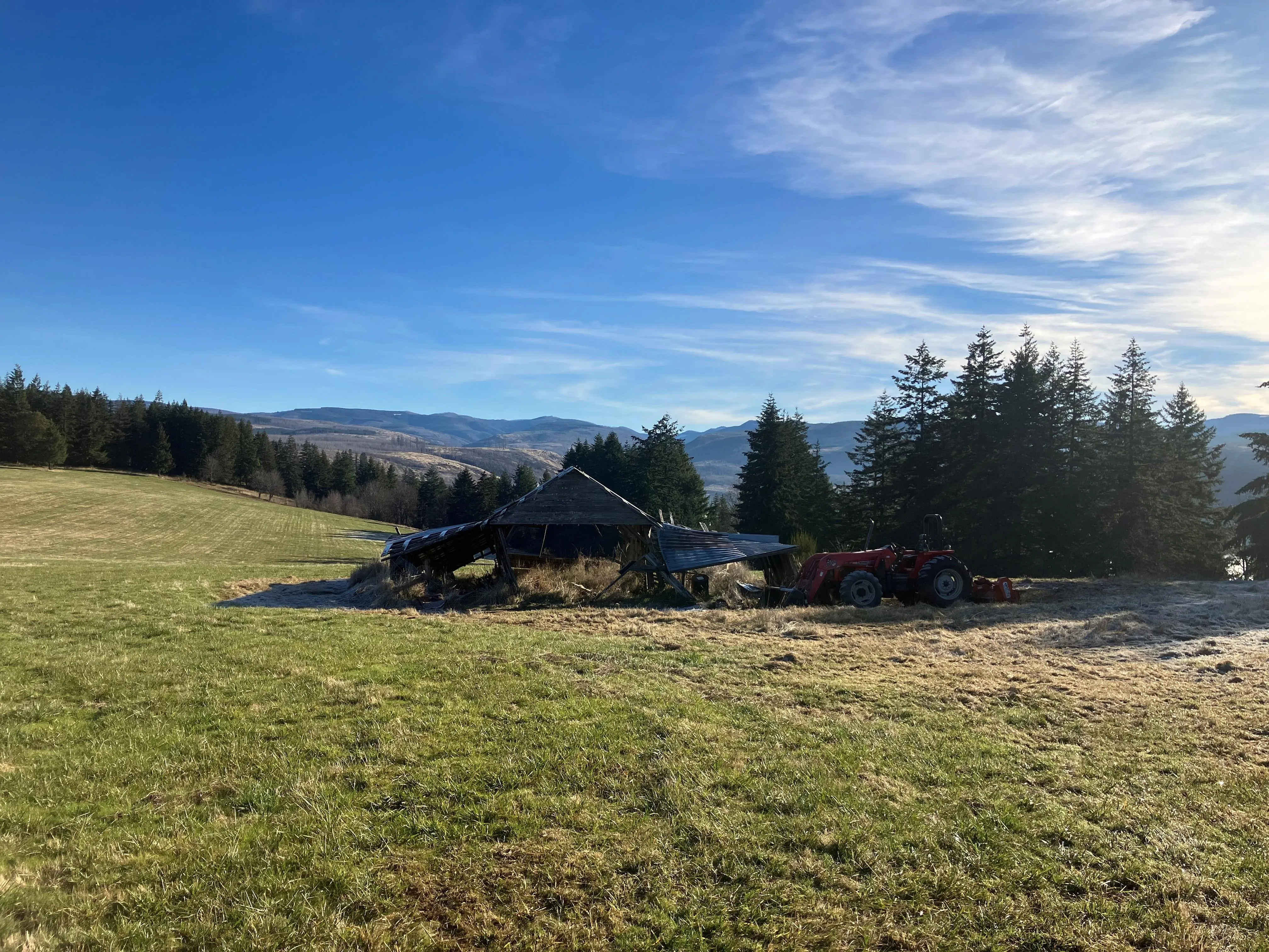 Oregon Timberland Properties for Sale, Timberland Properties for Sale ...