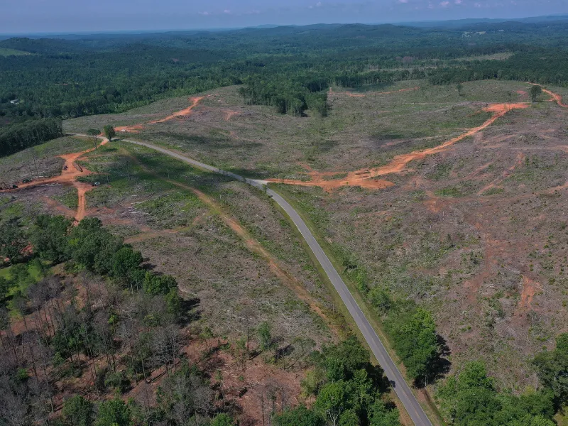 Metropolitan Region, AL Hunting Land for Sale, Hunting Land for Sale in ...