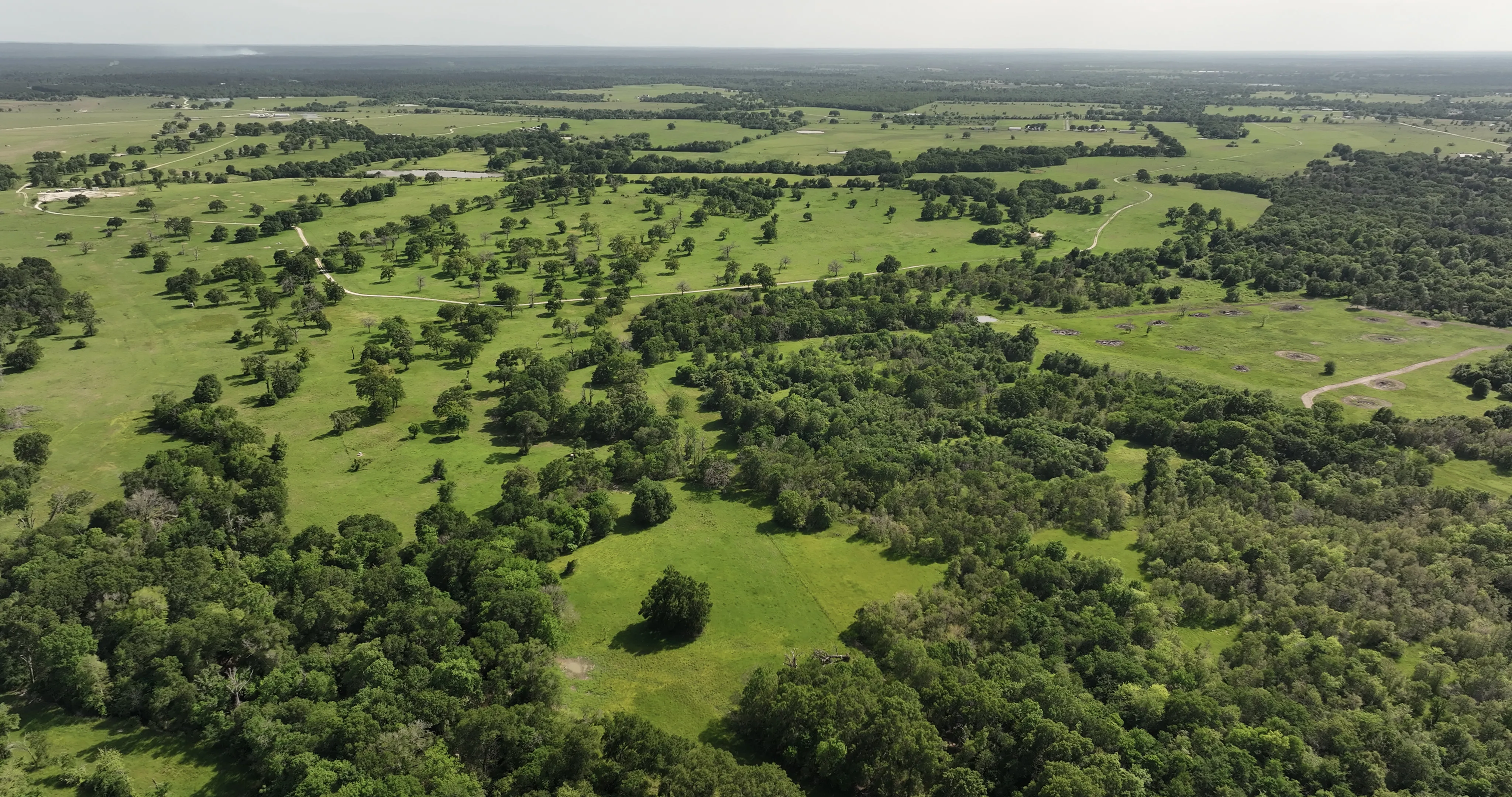 Madison County, TX Land for Sale, Land for Sale in Madison County, TX ...