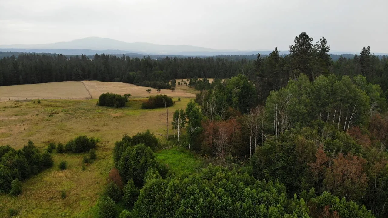 Spokane County, WA Farms and Ranches for Sale - 6 Listings | LandWatch