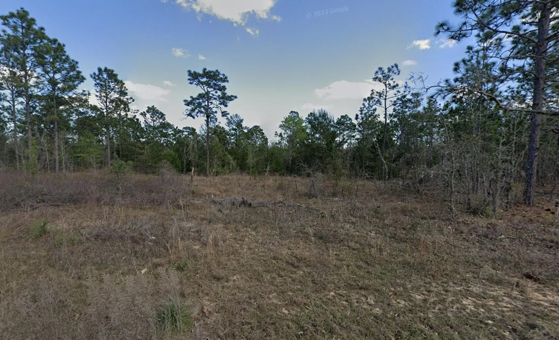 Florida Land for Sale, Land for Sale in Florida, Land for Sale Near Me ...