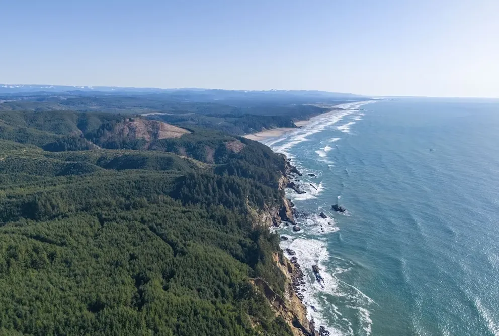 Oregon Timberland Properties for Sale, Timberland Properties for Sale ...