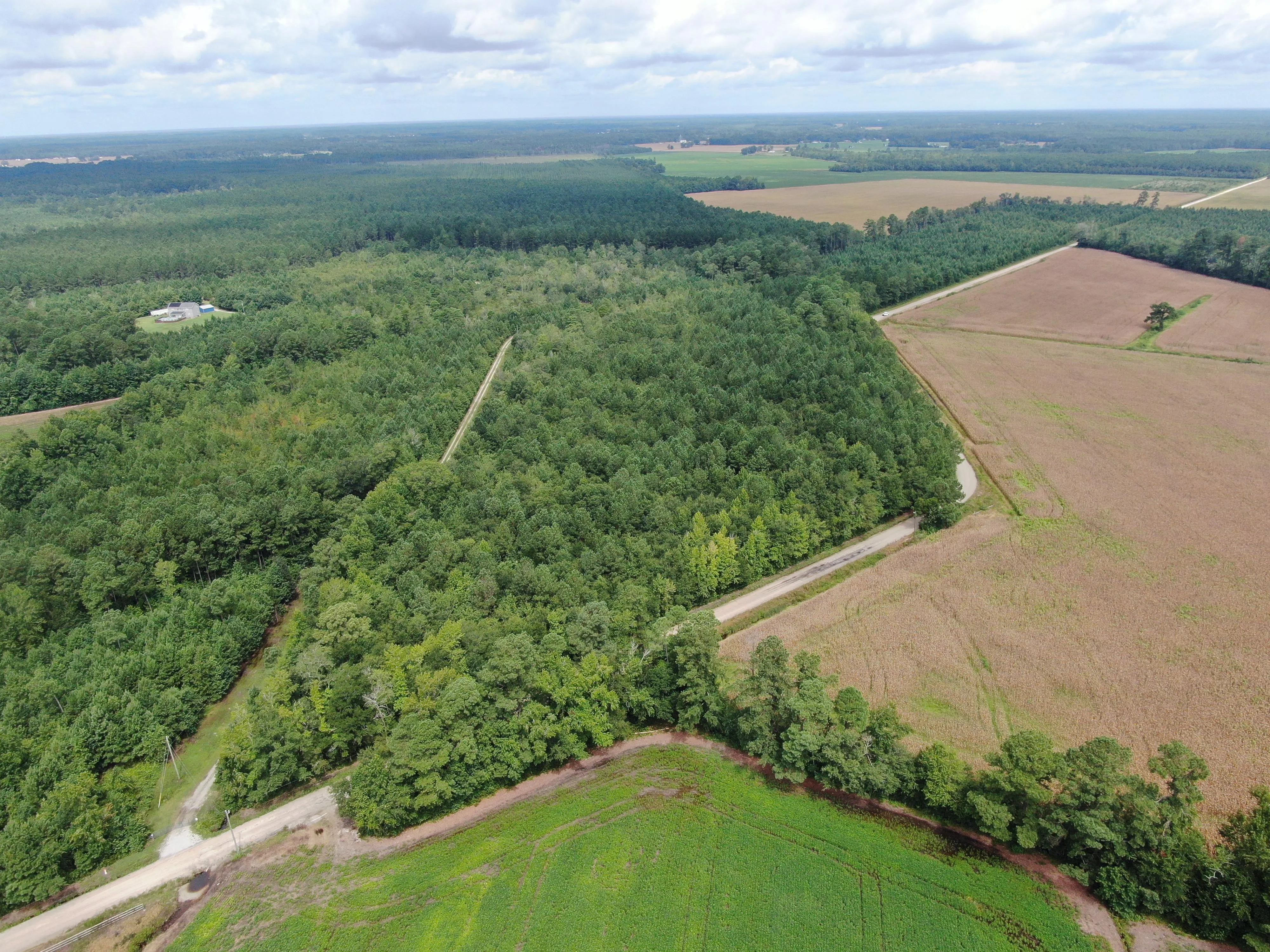 Horry County, SC Land for Sale, Land for Sale in Horry County, SC, Land ...