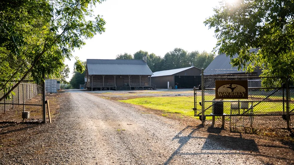 Madison Parish, LA Land for Sale, Land for Sale in Madison Parish, LA ...