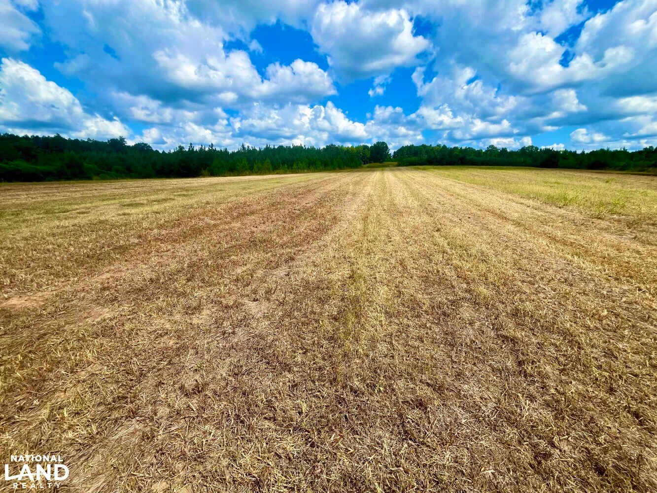 Alabama Land for Sale, Land for Sale in Alabama, Land for Sale Near Me ...