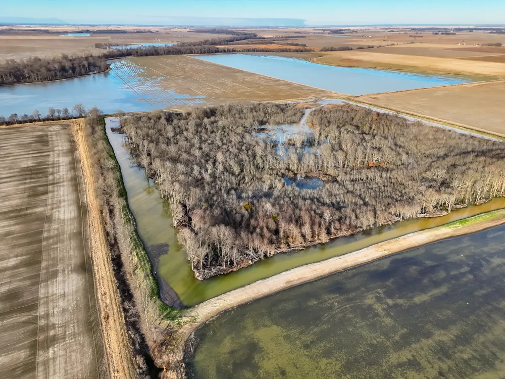 Craighead County, AR Land for Sale, Land for Sale in Craighead County ...