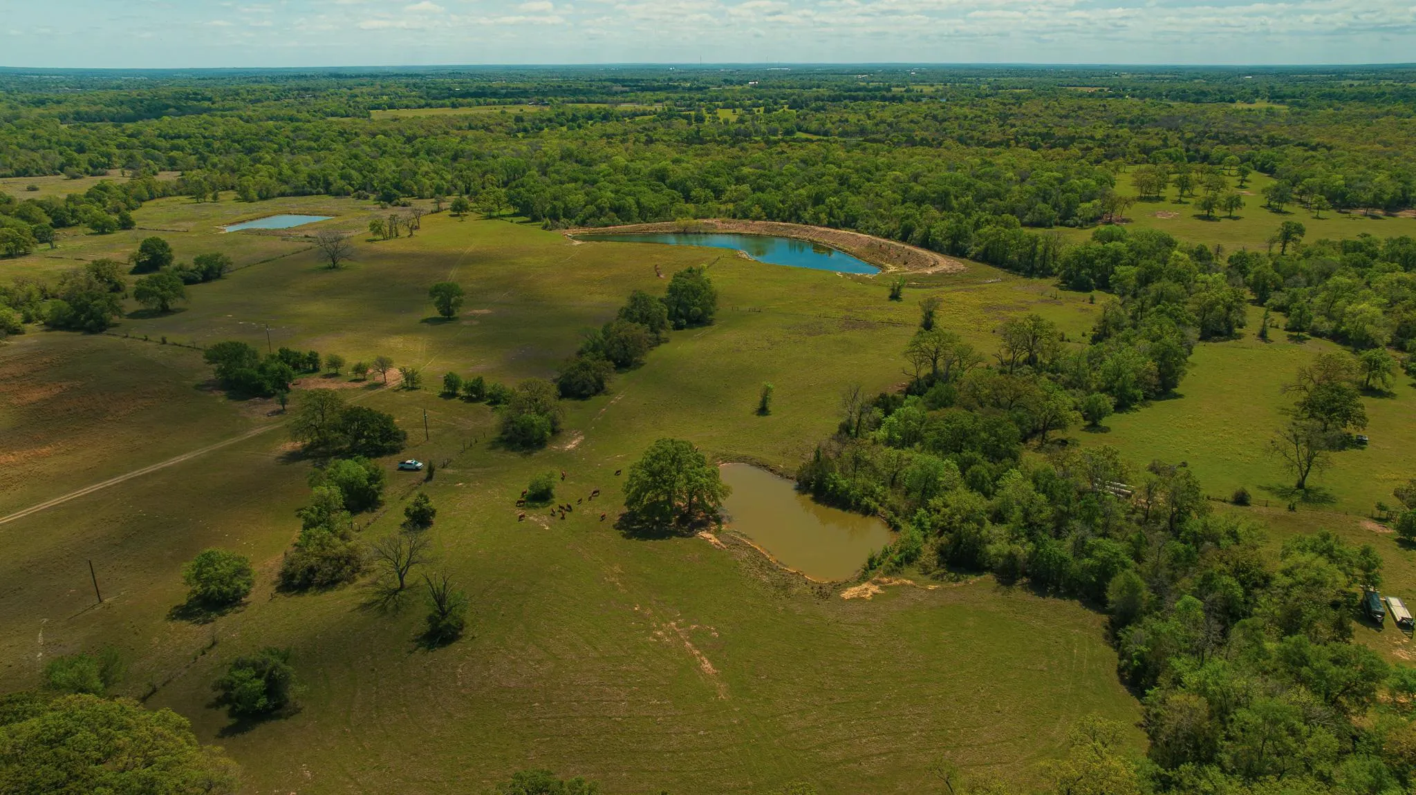 Bryan, TX Land for Sale, Land for Sale in Bryan, TX, Land for Sale Near ...