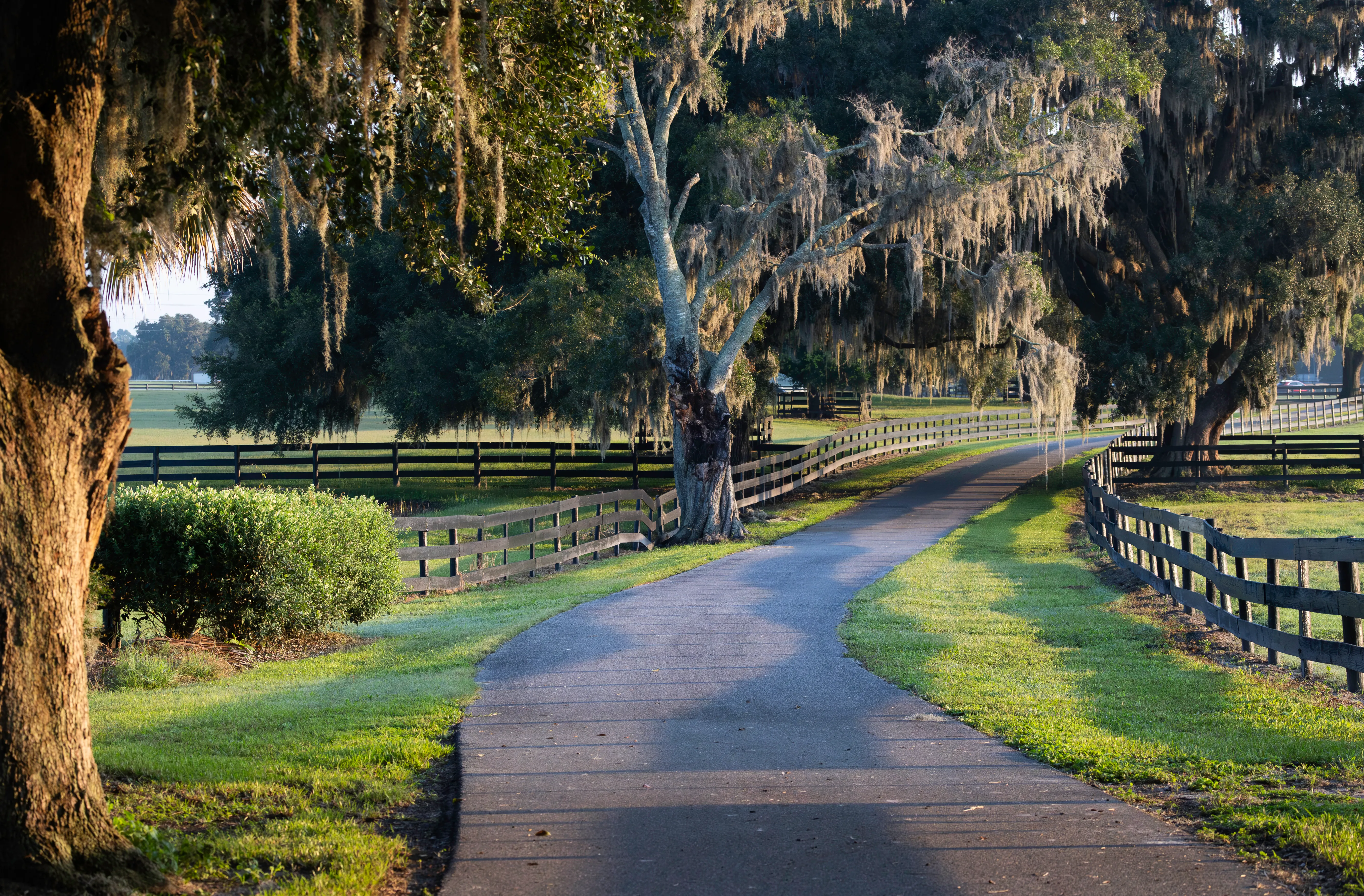 Ocala, FL Land for Sale, Land for Sale in Ocala, FL, Land for Sale Near ...