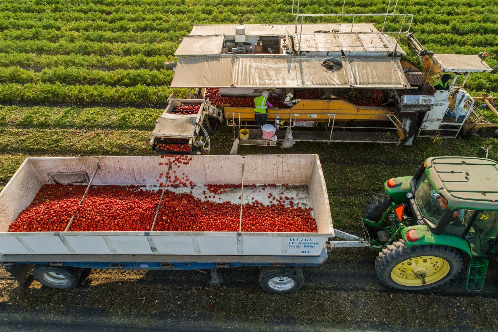 Knights Landing, Yolo County, CA Farms and Ranches for sale Property ID ...