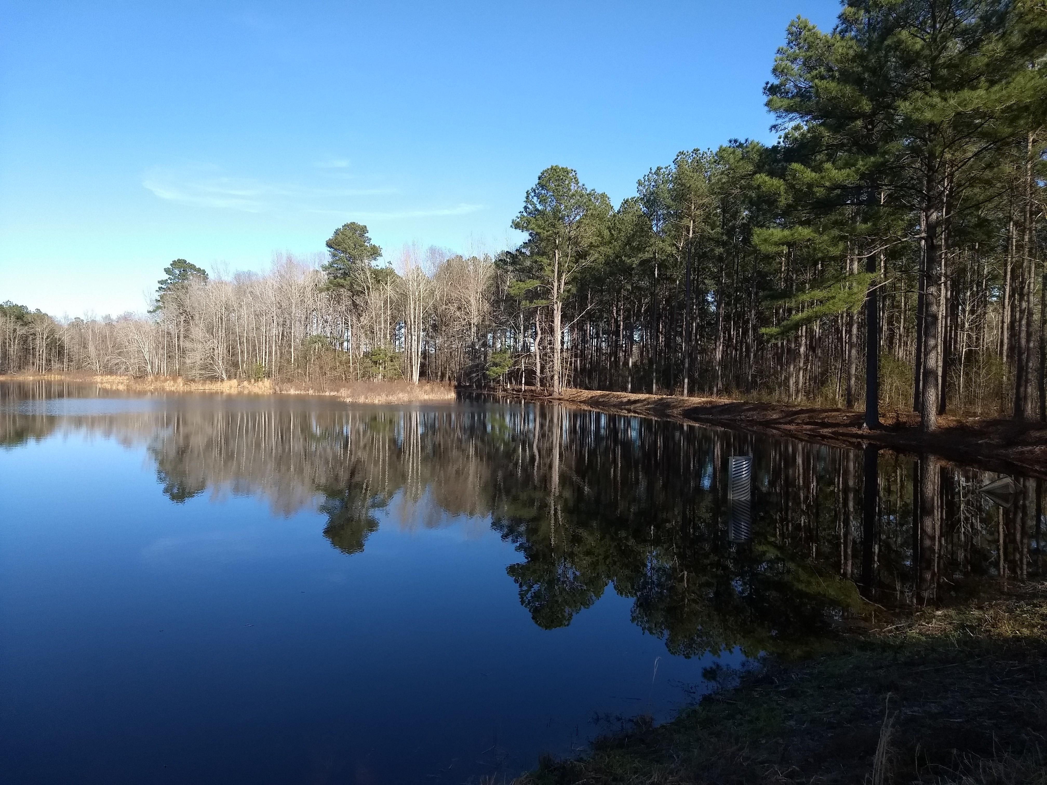 Midville, Burke County, GA Recreational Property, Hunting Property ...