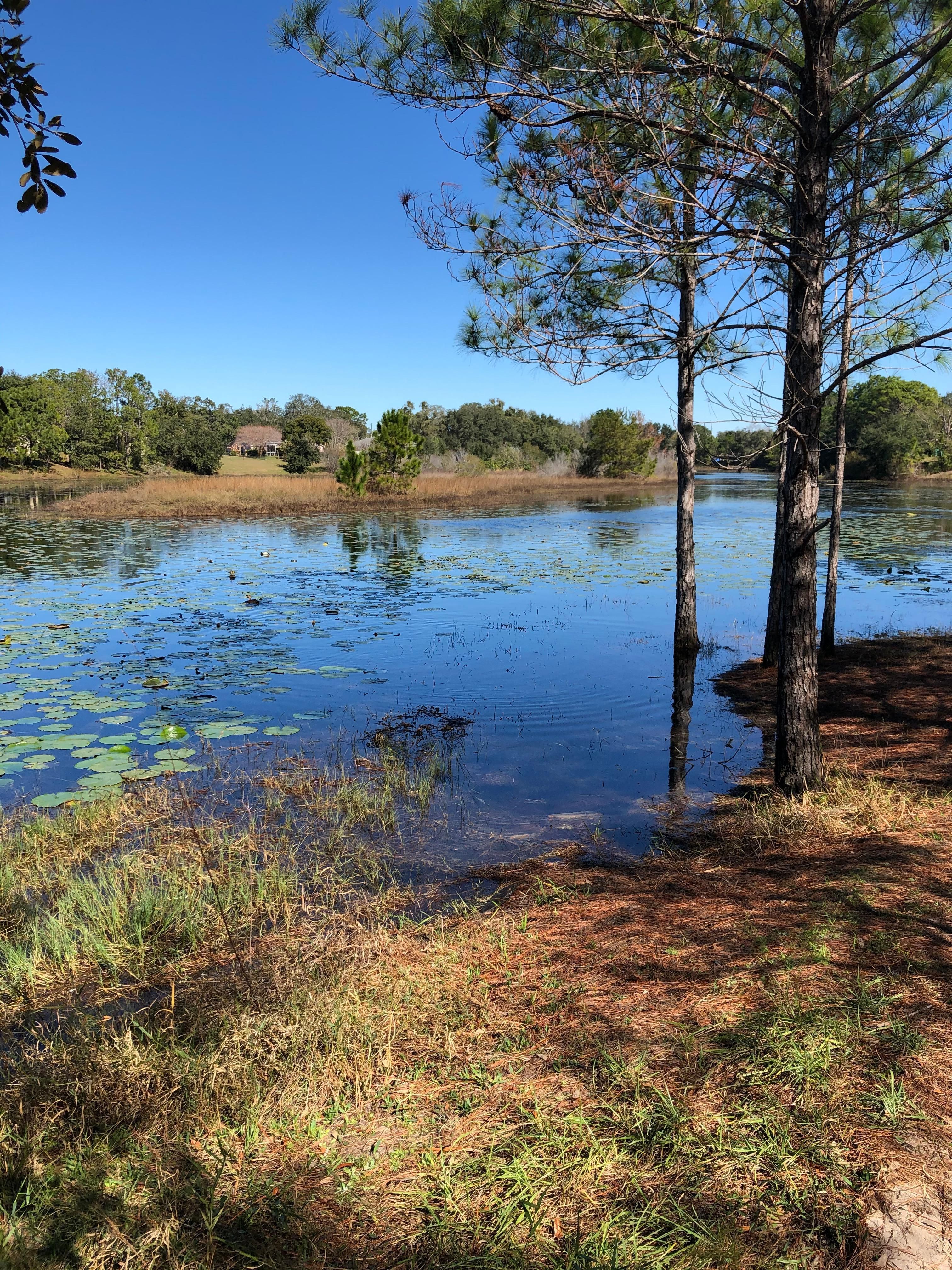 Spring Hill, Hernando County, FL Lakefront Property, Waterfront ...