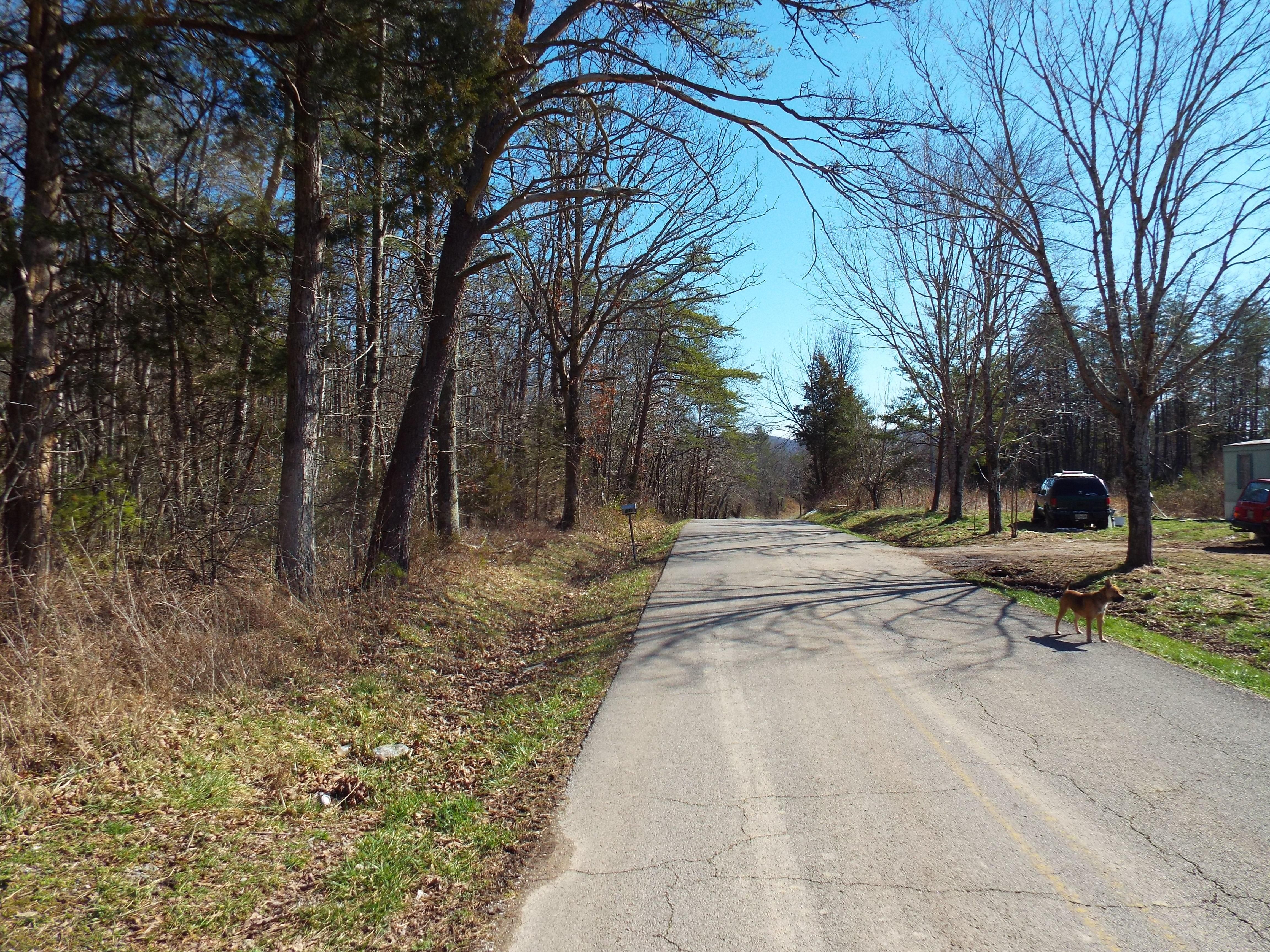 Lancing, Morgan County, TN Recreational Property, Hunting Property for ...