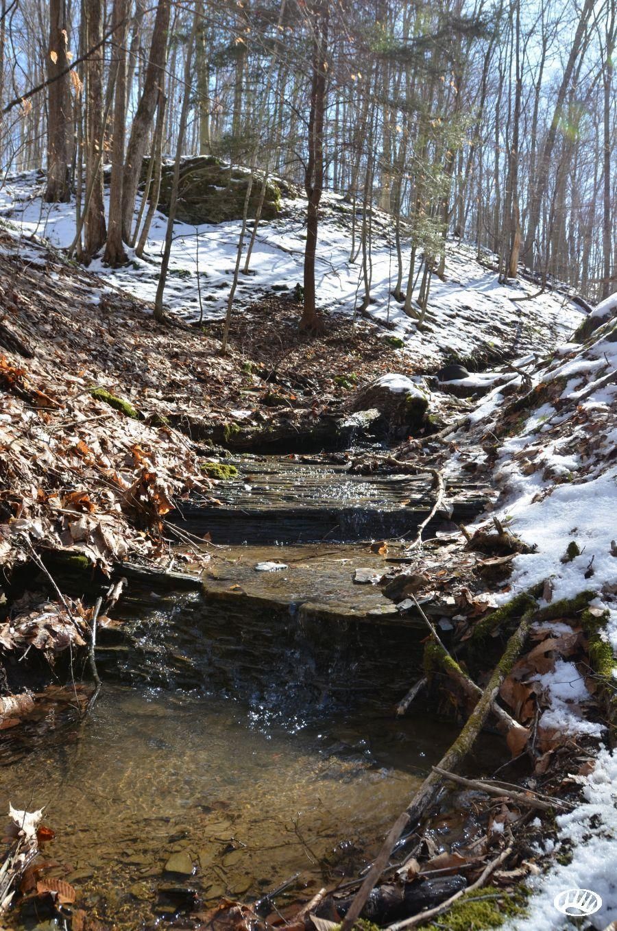 Penfield, Clearfield County, PA Recreational Property, Timberland ...
