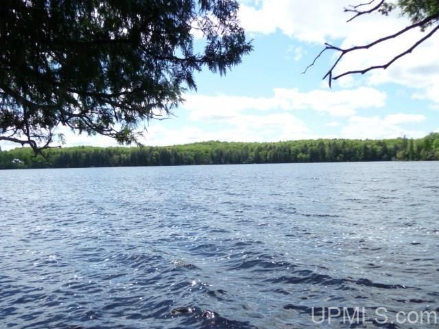 Amasa, Iron County, MI Undeveloped Land, Lakefront Property, Waterfront ...