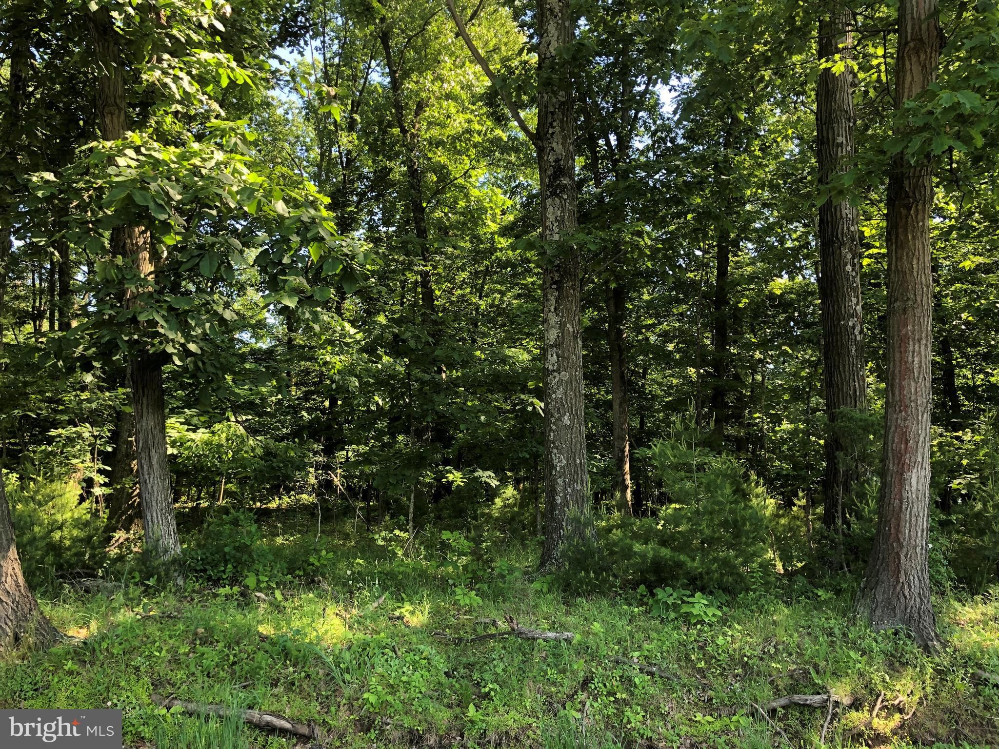 Pipersville, Bucks County, PA Undeveloped Land for sale Property ID ...