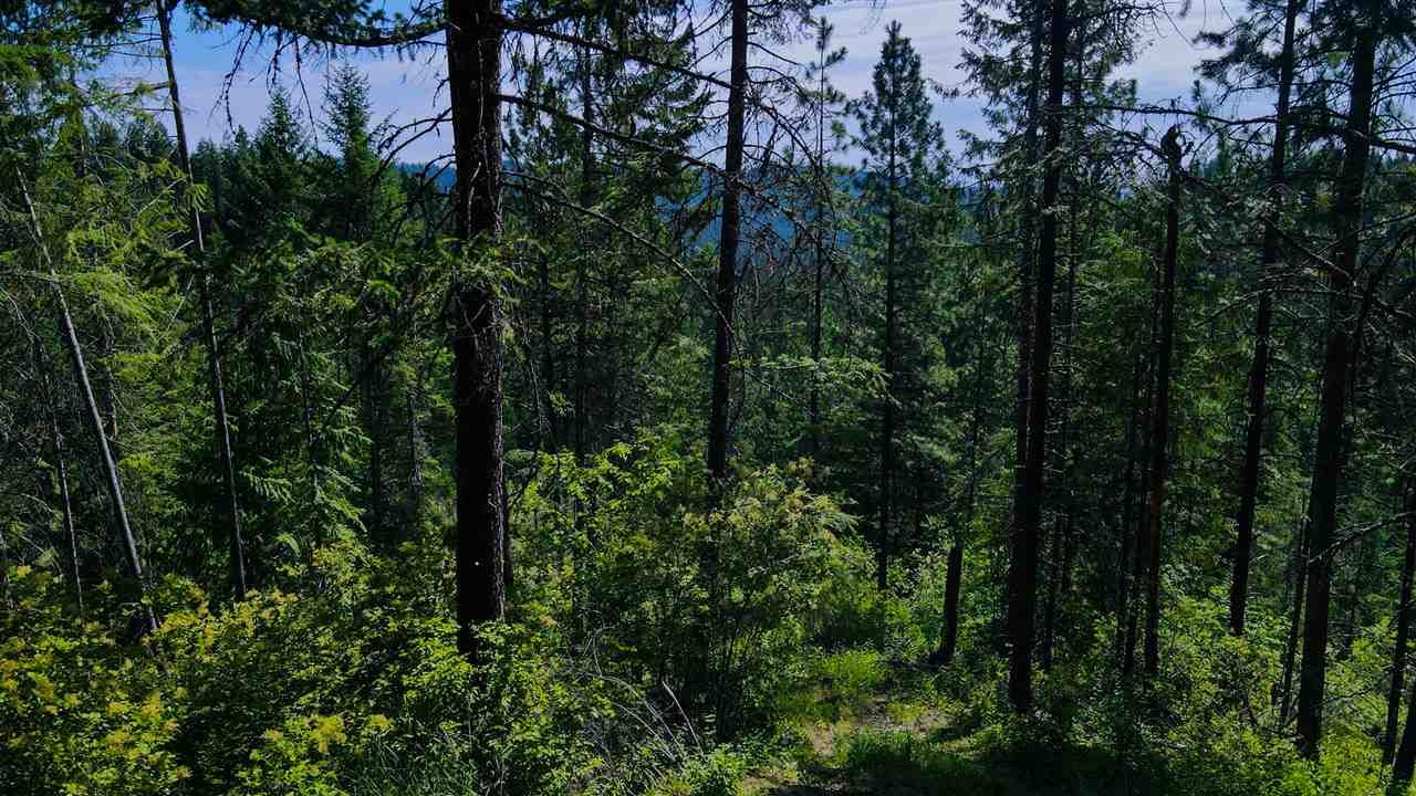 Loon Lake, Stevens County, WA Undeveloped Land for sale Property ID ...