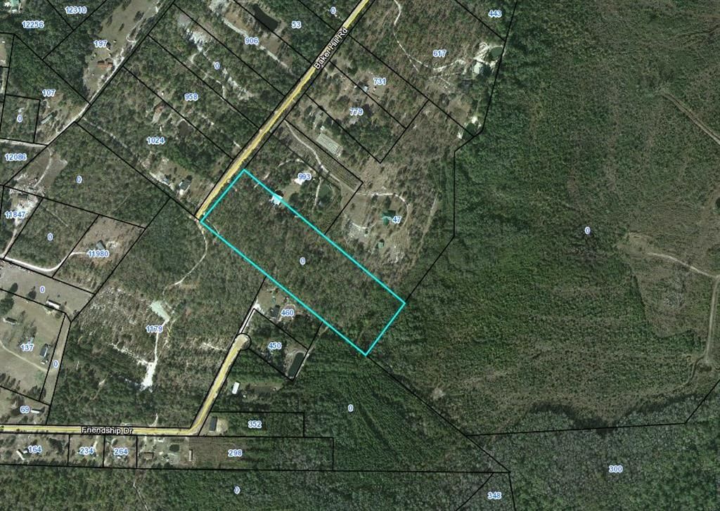 Hortense, Brantley County, GA Undeveloped Land for sale Property ID ...