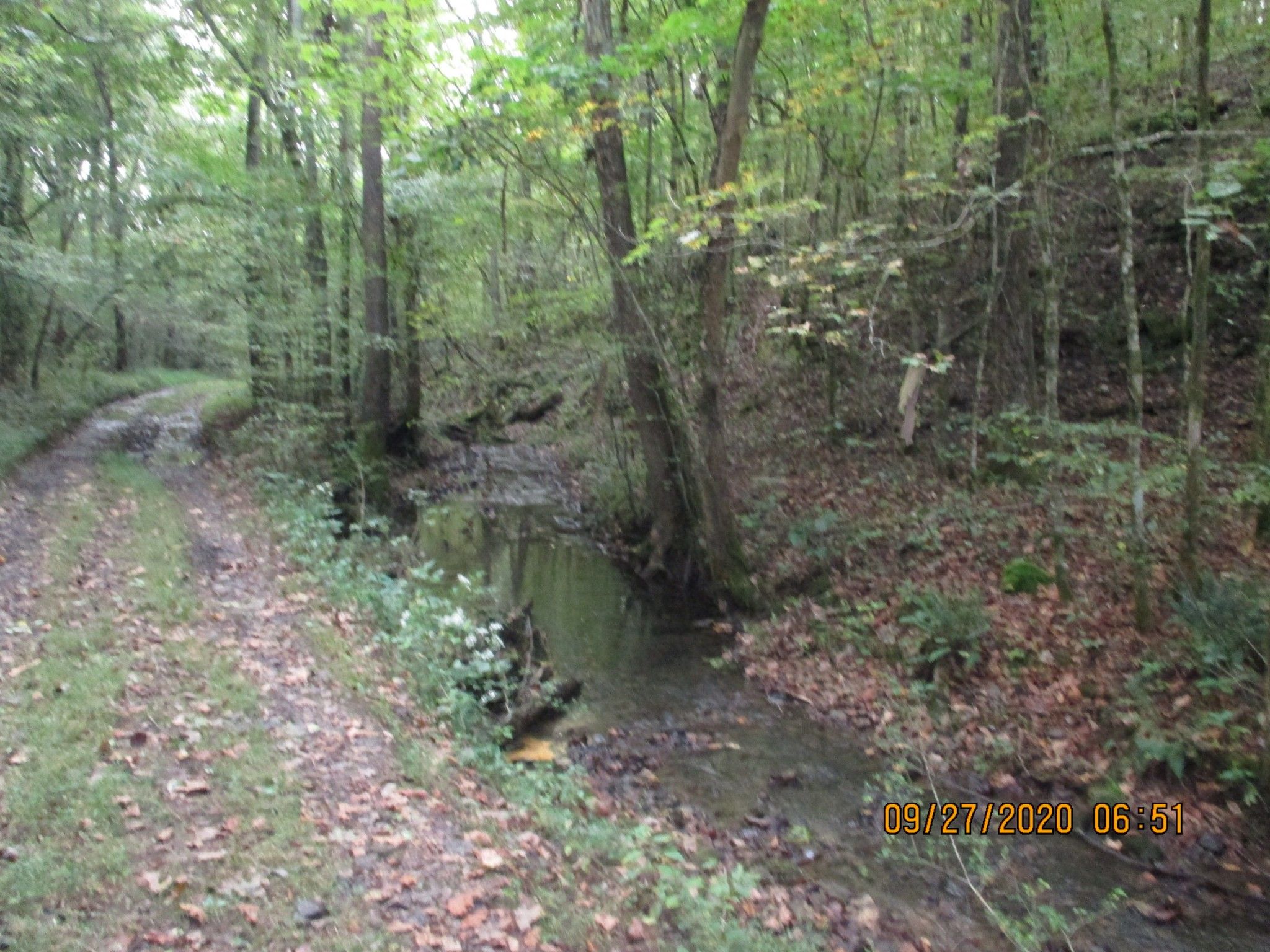 Prospect, Giles County, TN Undeveloped Land for sale Property ID ...