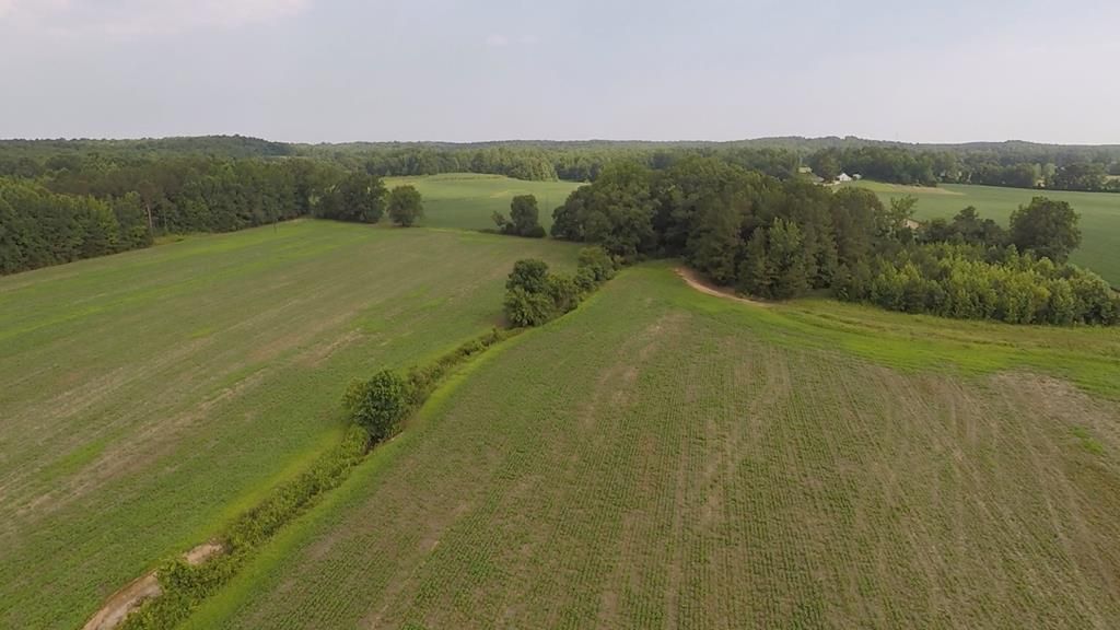 Reagan, Henderson County, TN Farms and Ranches, Recreational Property ...