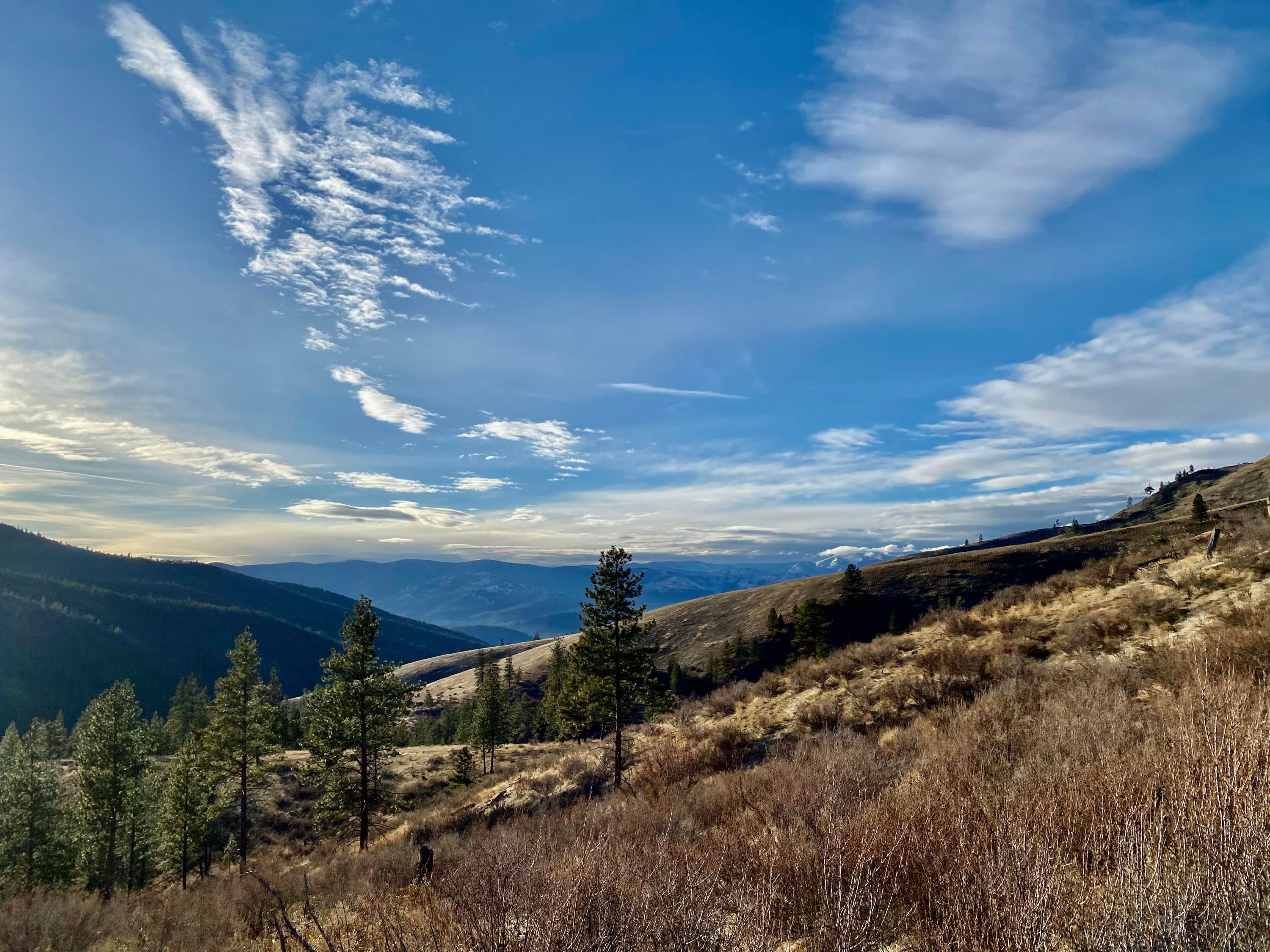 Plains, Sanders County, MT Undeveloped Land for sale Property ID ...