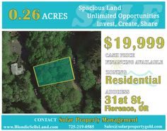 Houston, Winston County, AL Recreational Property, Undeveloped Land ...