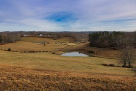 Wallingford, Fleming County, KY Recreational Property, Timberland ...